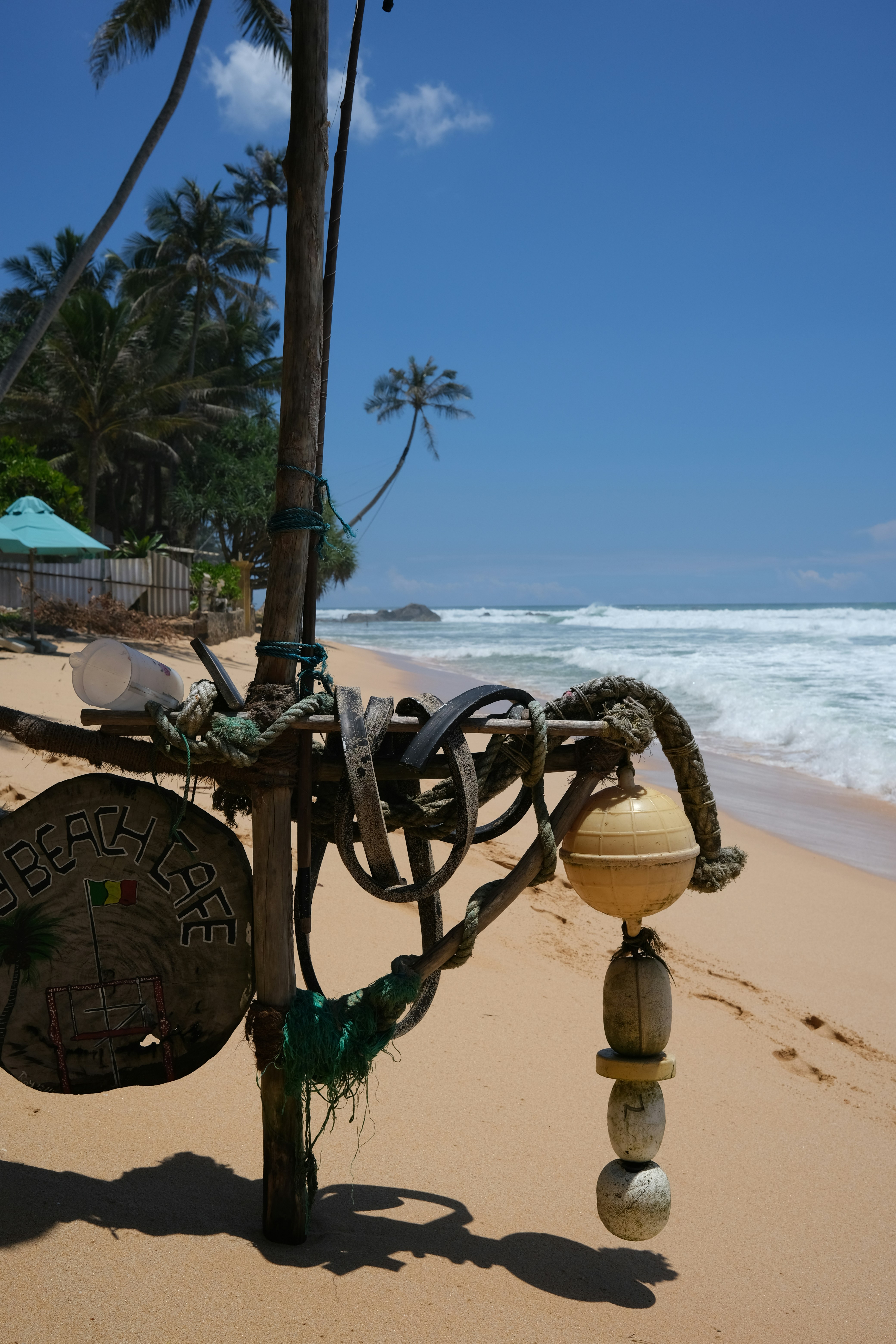Rope, Buoy, and Palm Shadows at a Sunlit Shore