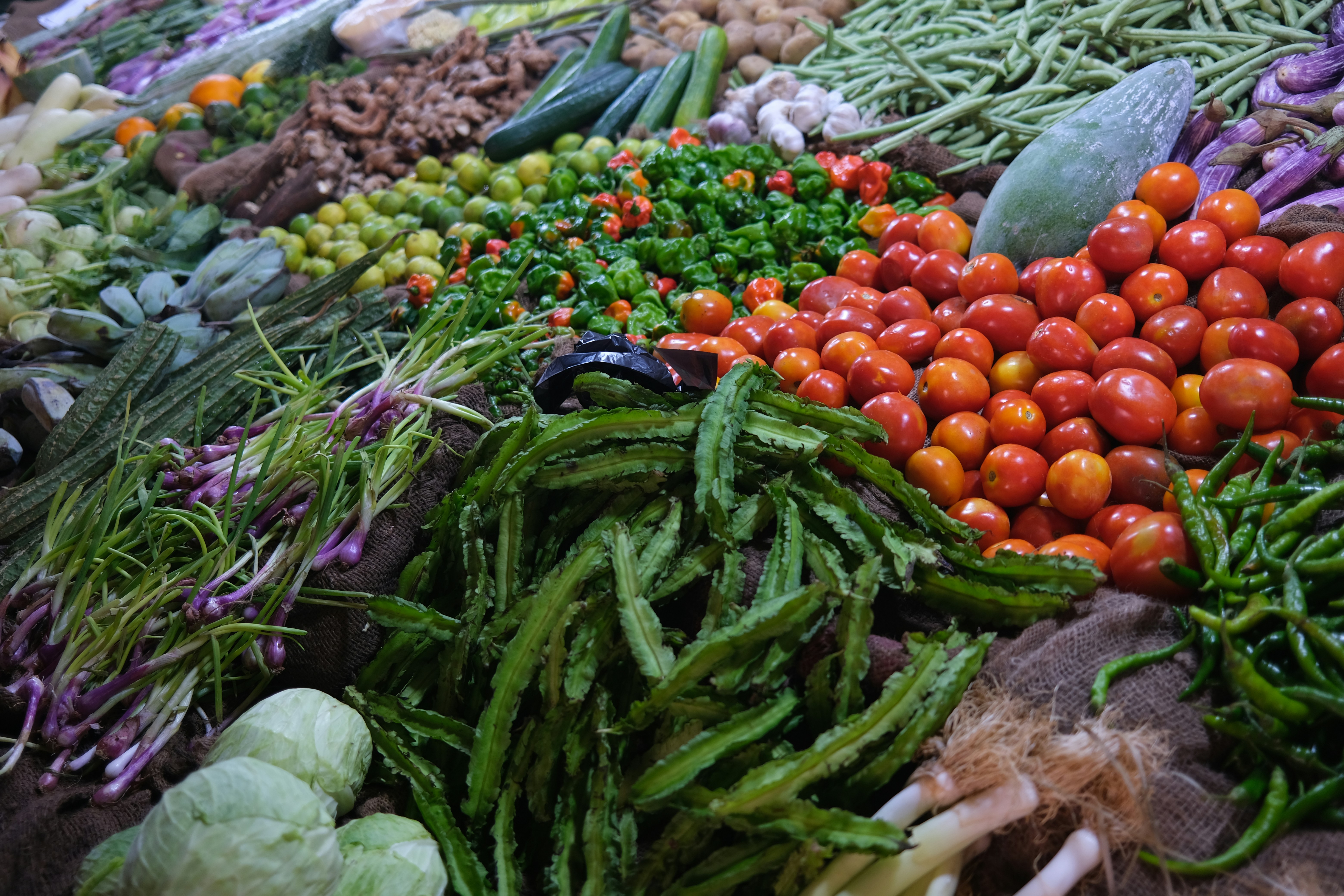 Colorful Market Bounty: A Close-Up of Fresh Vegetables and Tomatoes