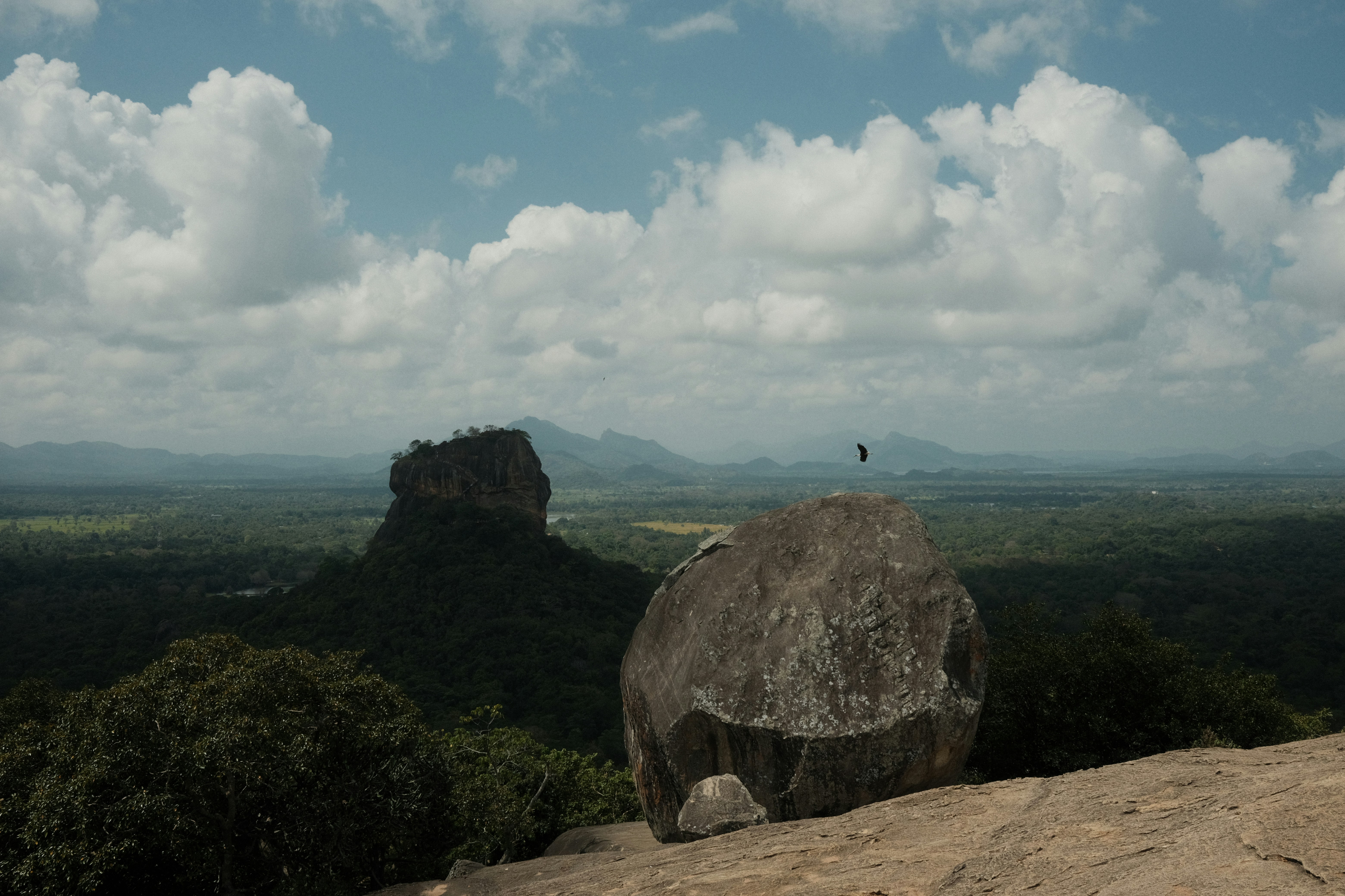 Boulder Sentinel: A Lone Monolith Over a Rolling Savannah