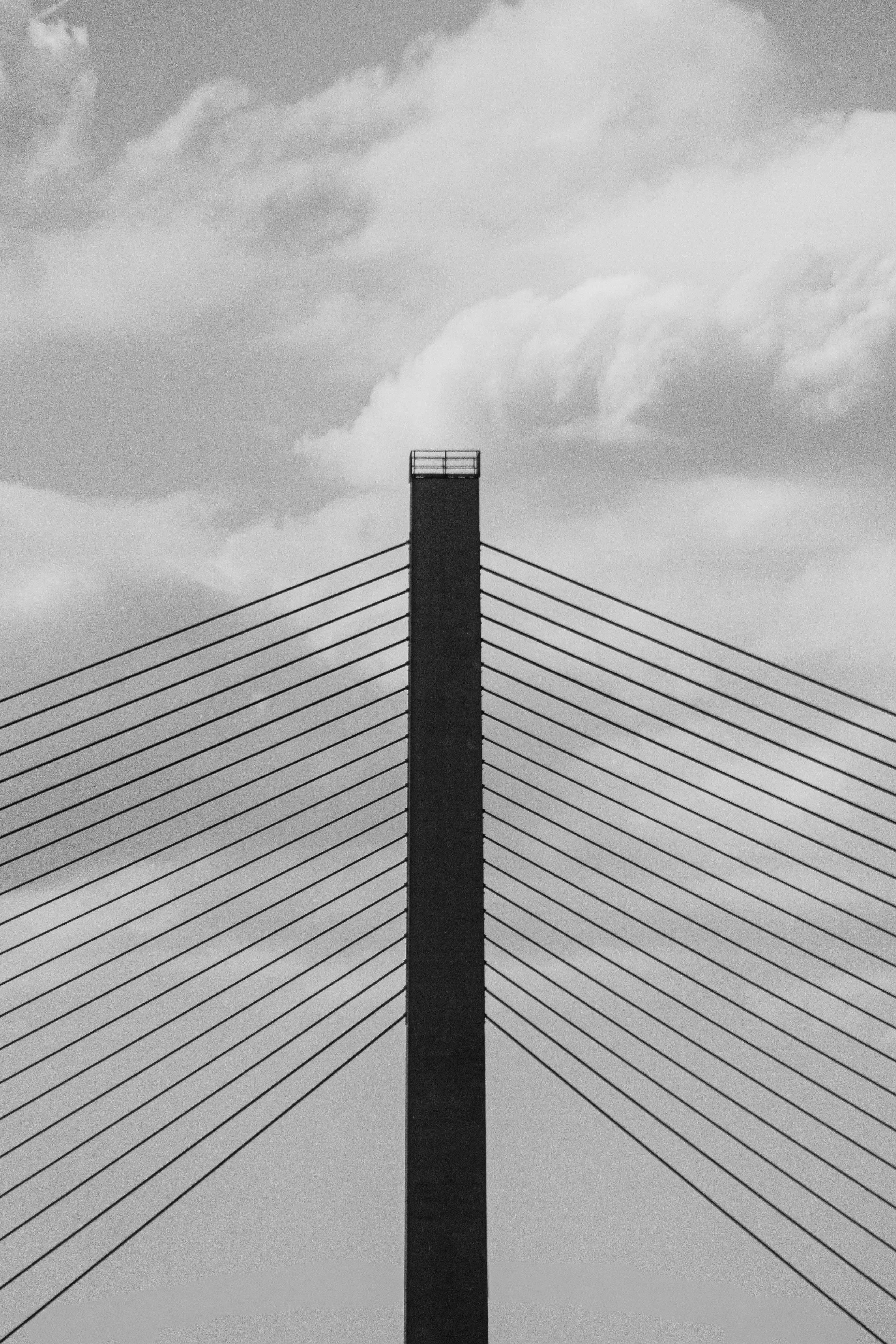 Suspended Lines: A Tower's Central Quiet