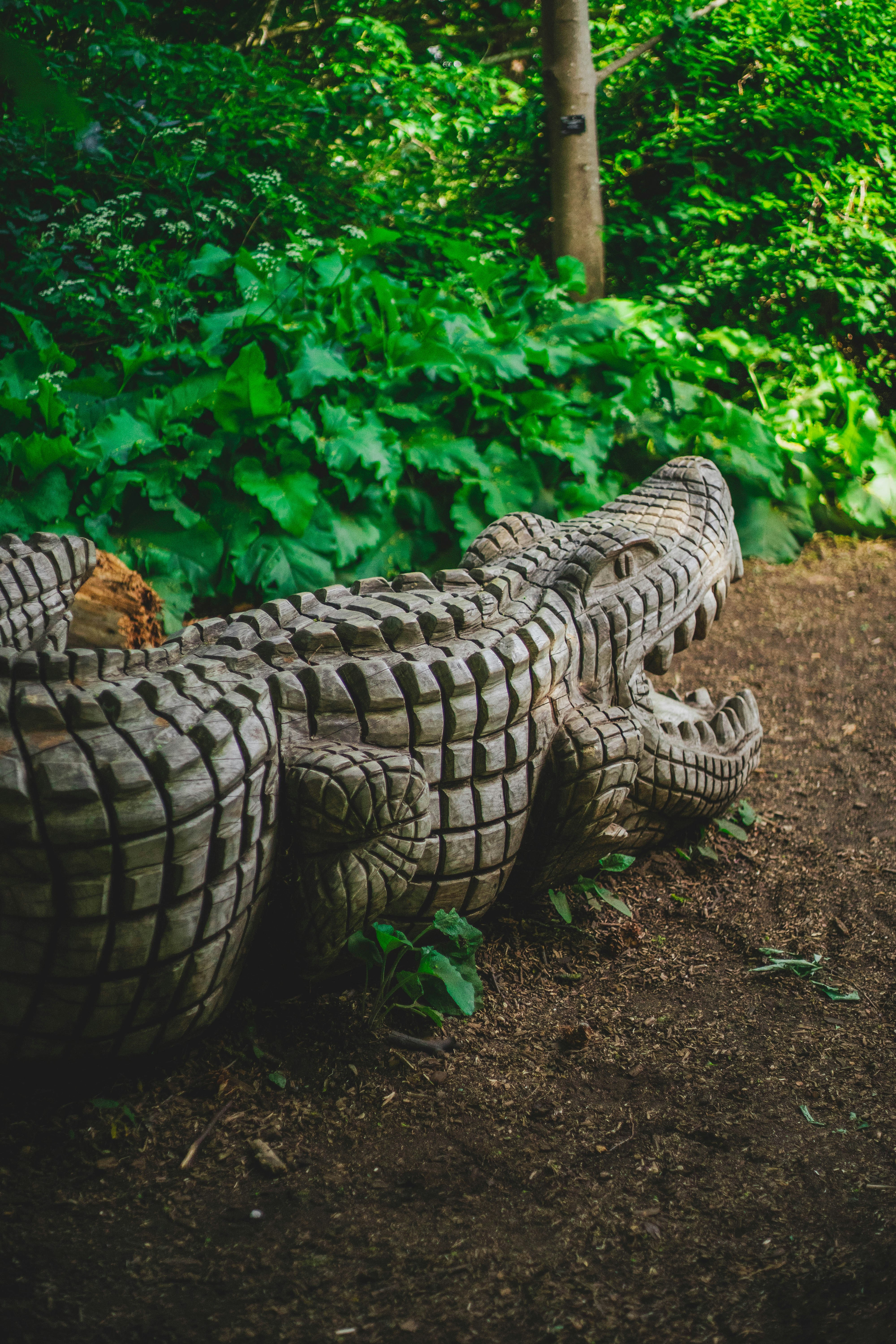 Ancient Serpent of the Path: A Crocodile-Scaled Bench in the Green Verge