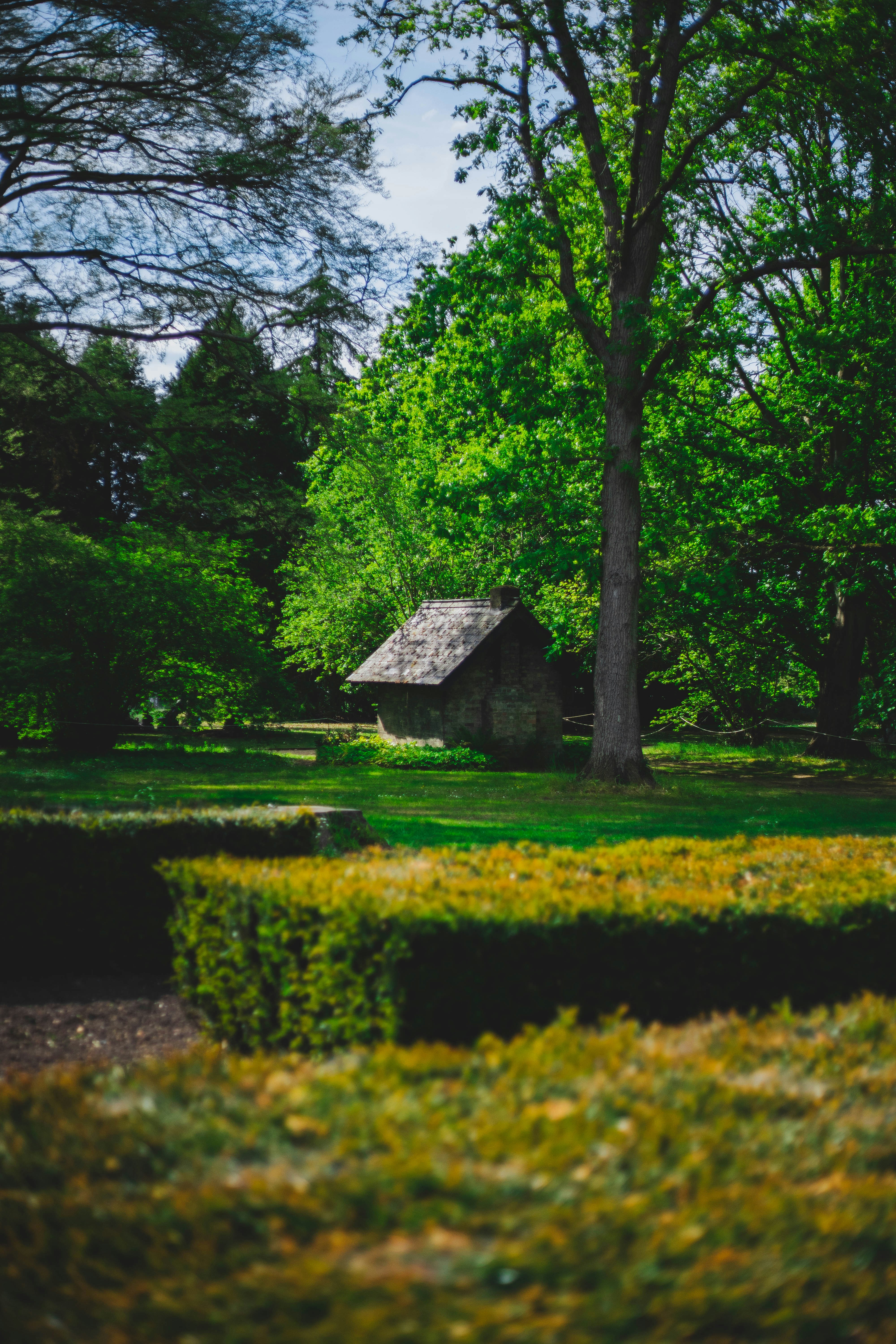 The Stone Hut Amid Green Echoes