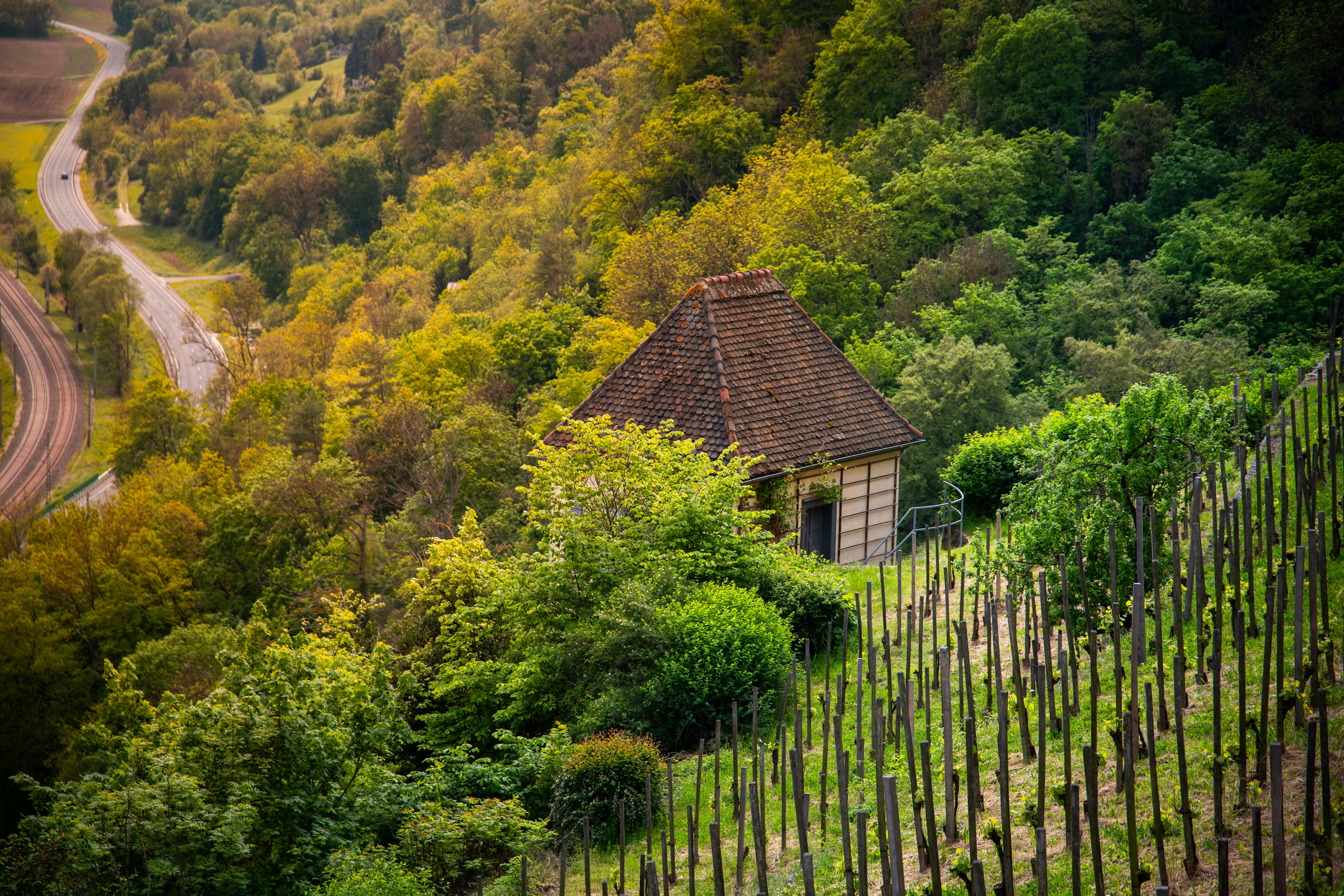 The Hillside Vineyard Chapel