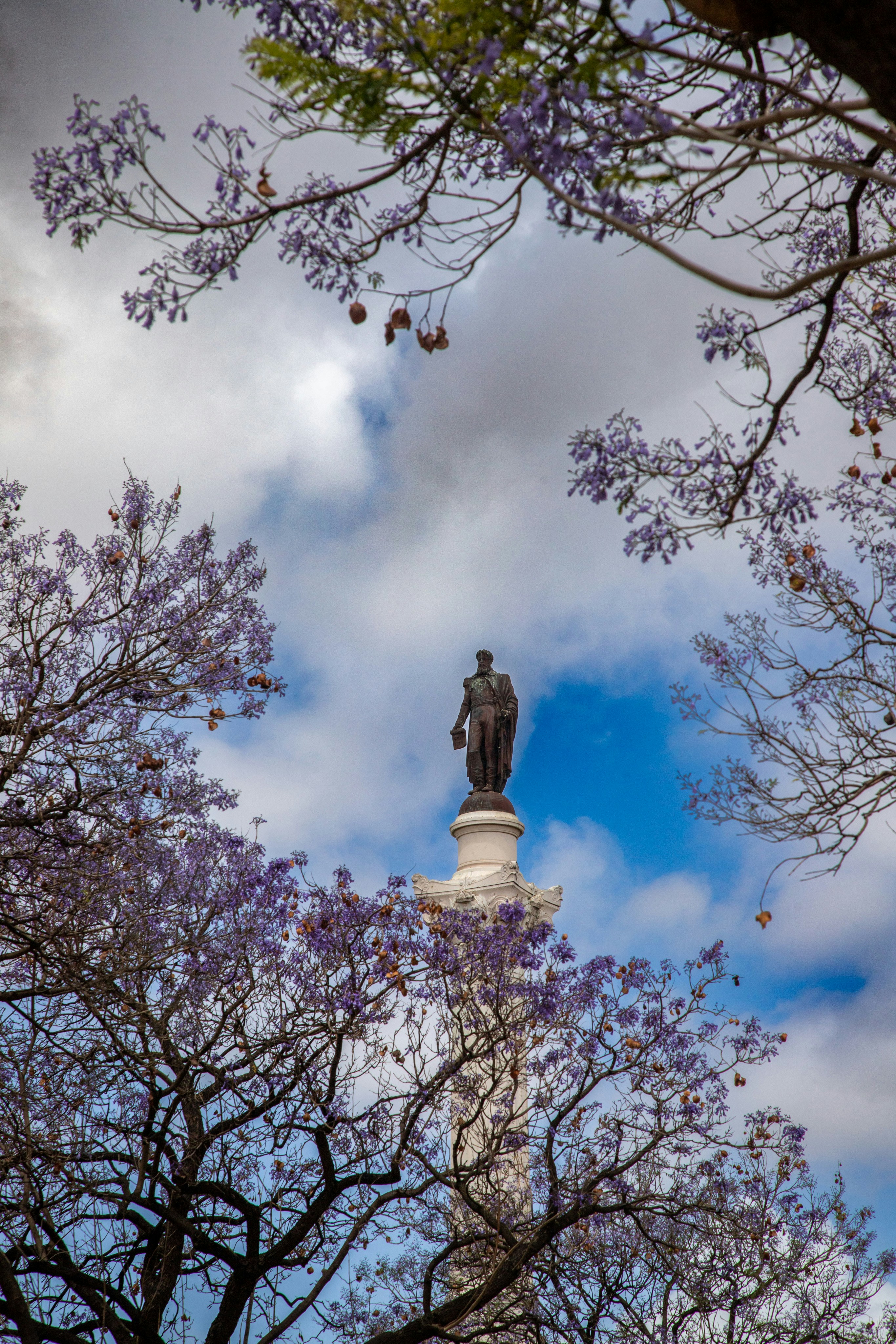 Statue Amid Cherry-Like Blossoms Against a Blue Sky