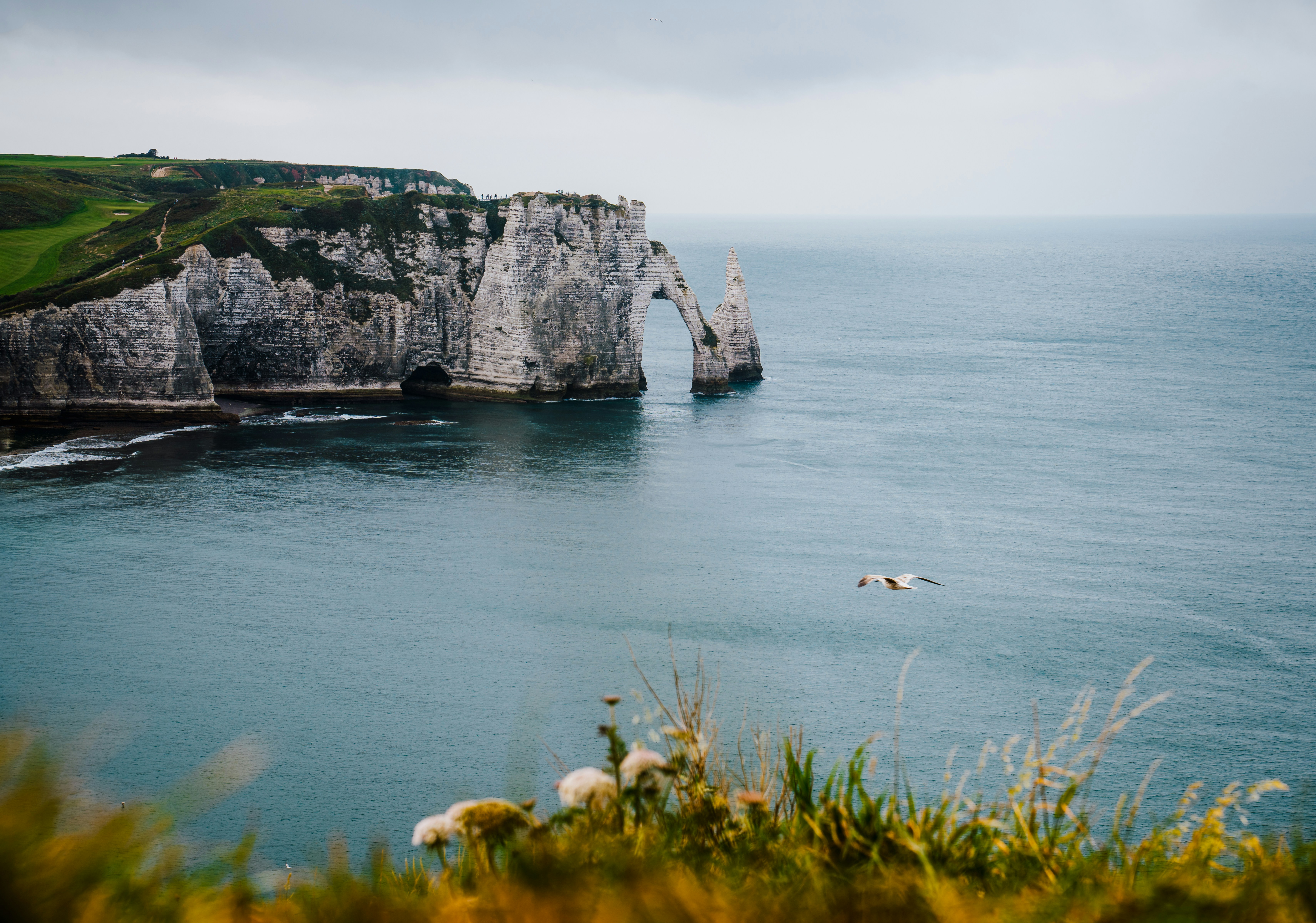 Sea Arch at Distant Cliffs: A Lone Seabird Above Turquoise Waters