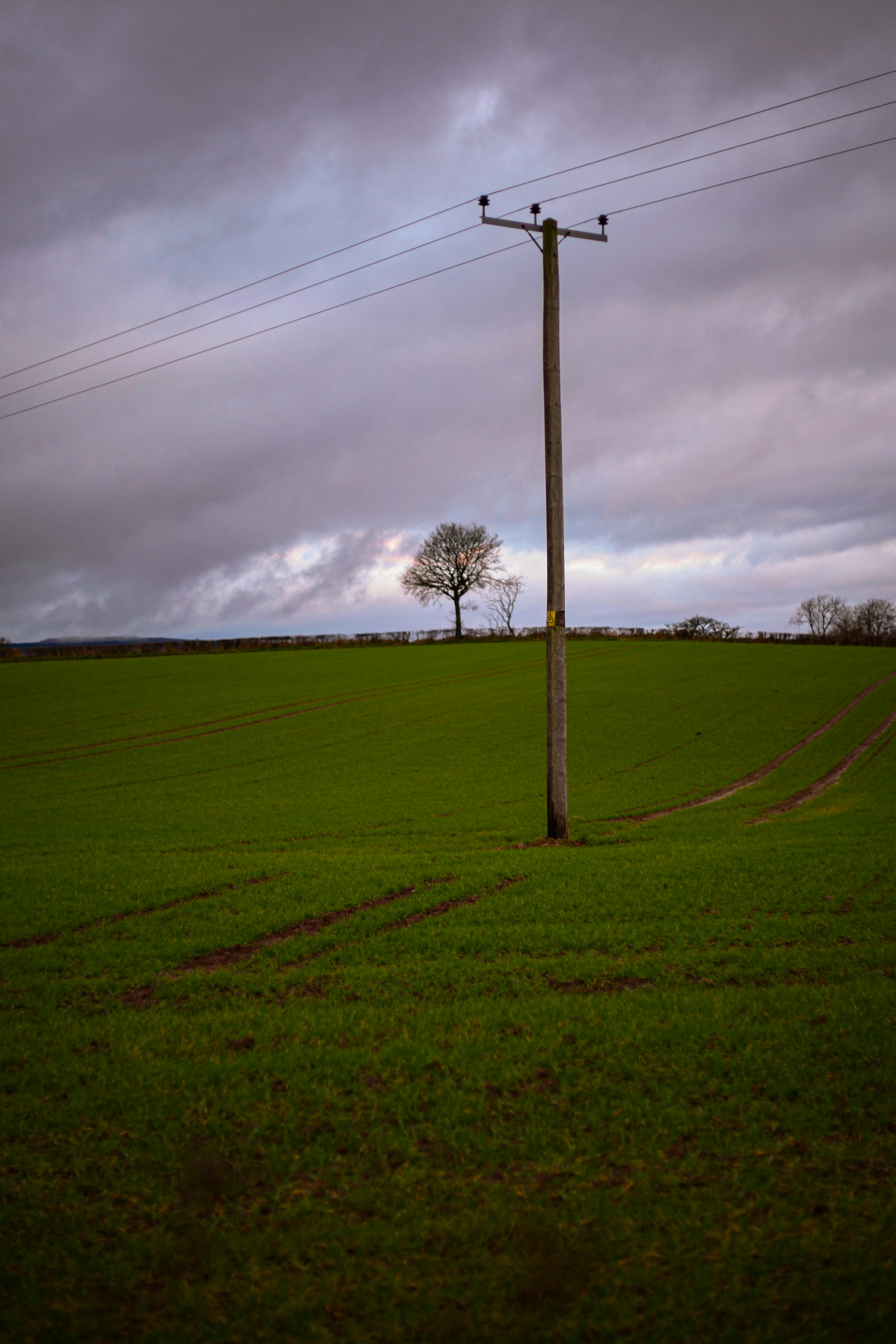 Pole in a Quiet Field Under Stormy Skies