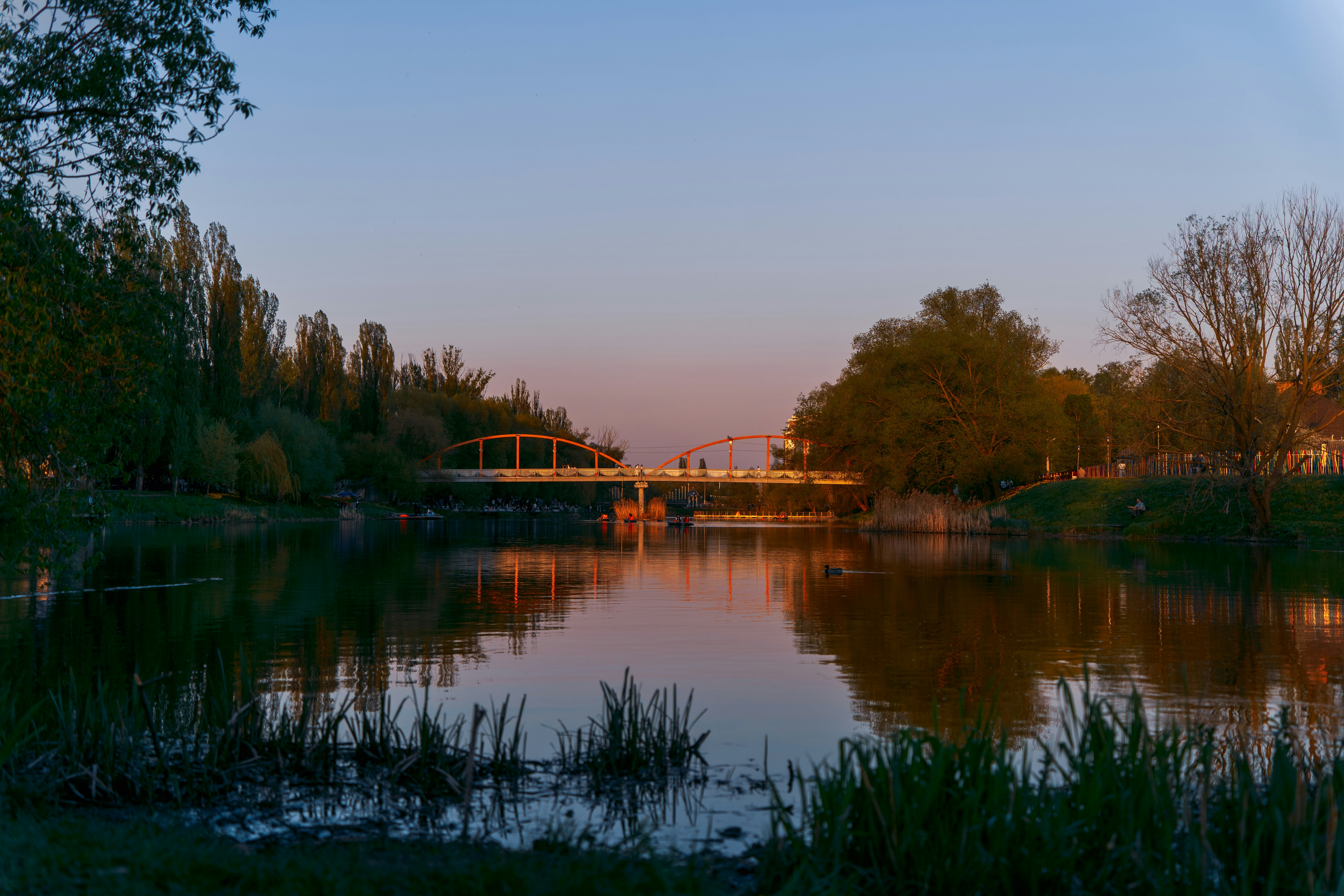 Evening Bridge over Quiet Pond