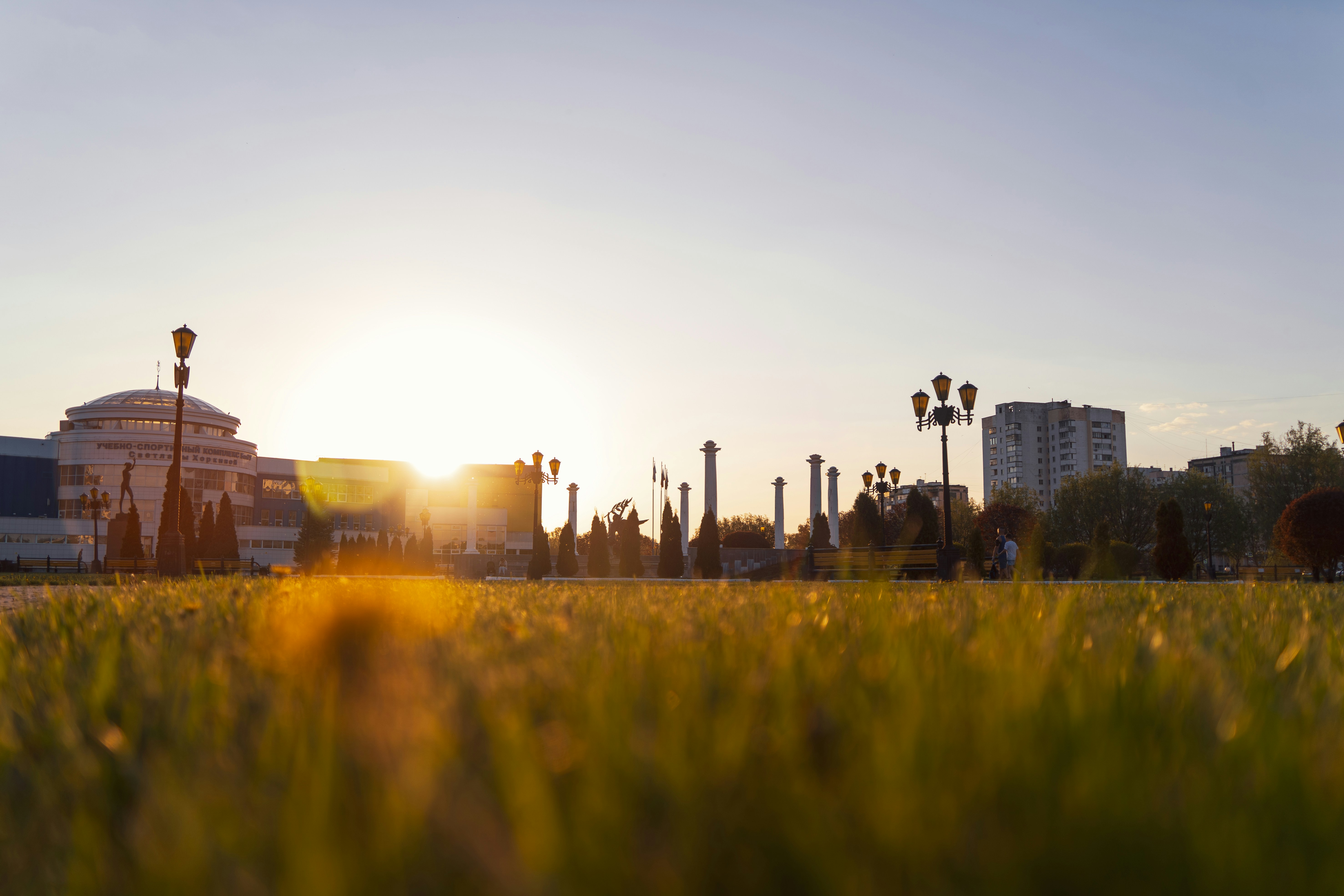 Golden Field at Dusk: City Silhouette and Low Sunset Glow