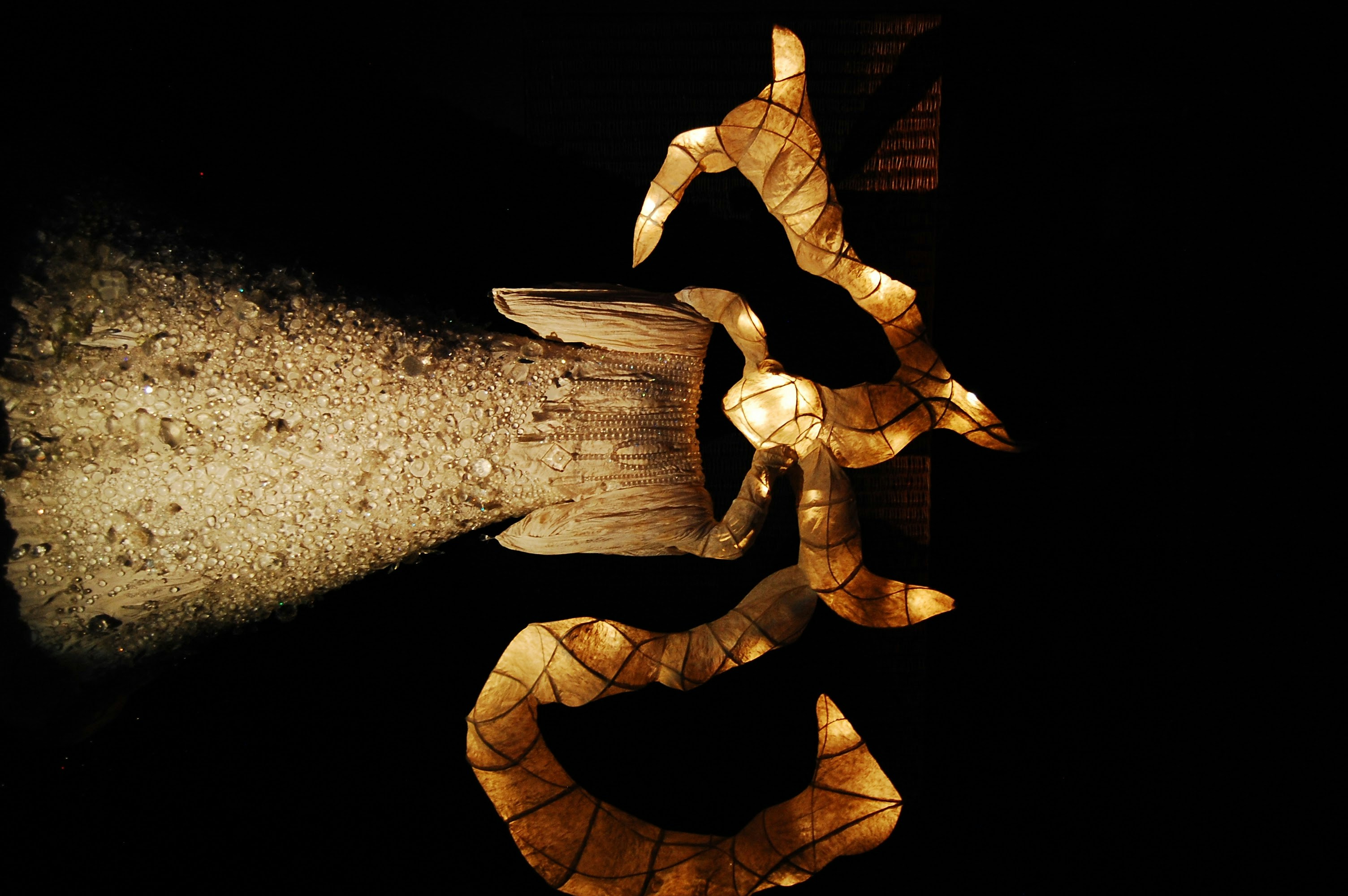 Golden Ribbon Dancer in the Dark