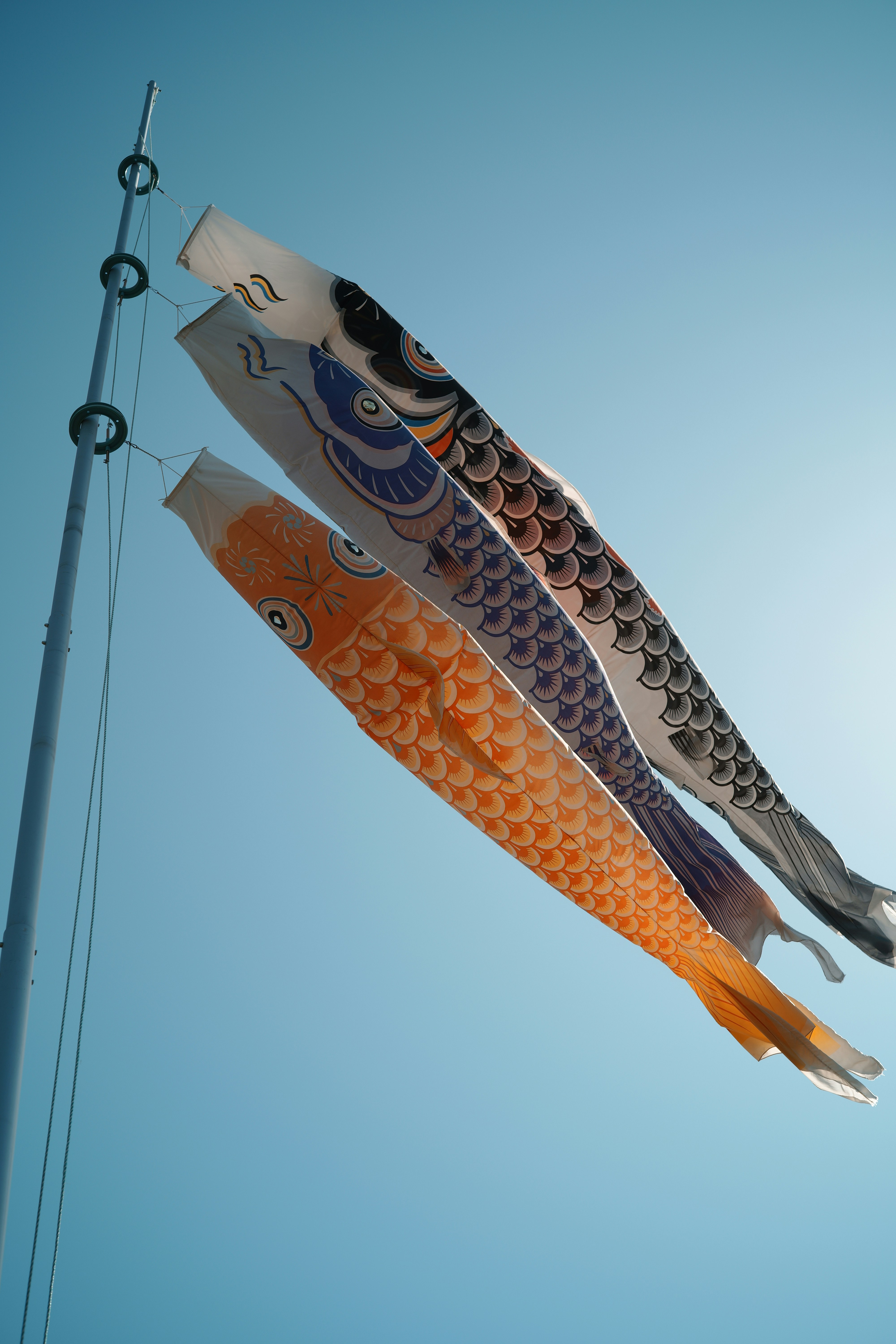 Three Koinobori Streamers Arc Across a Clear Sky