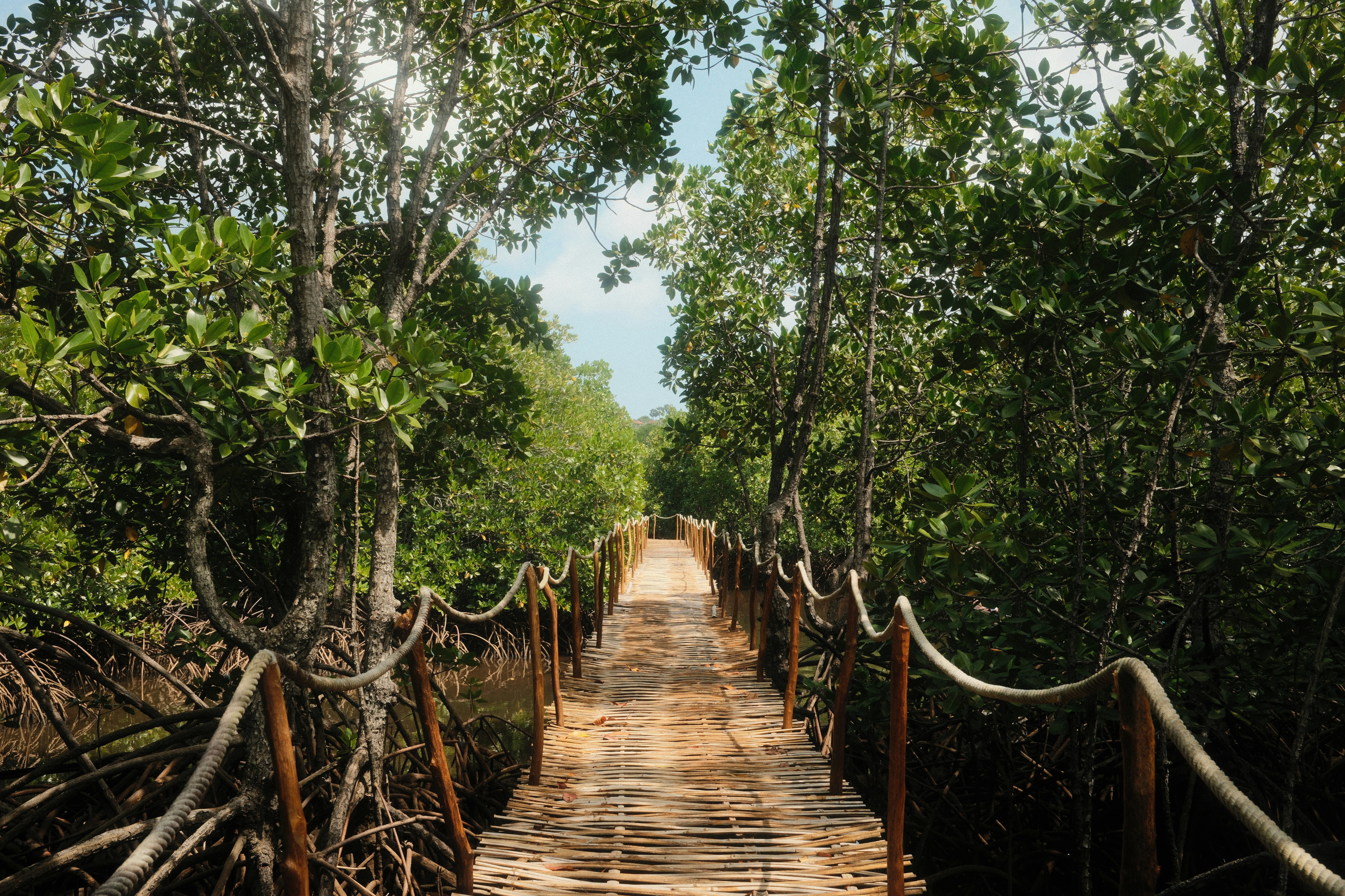 Gateway to the Green Trench