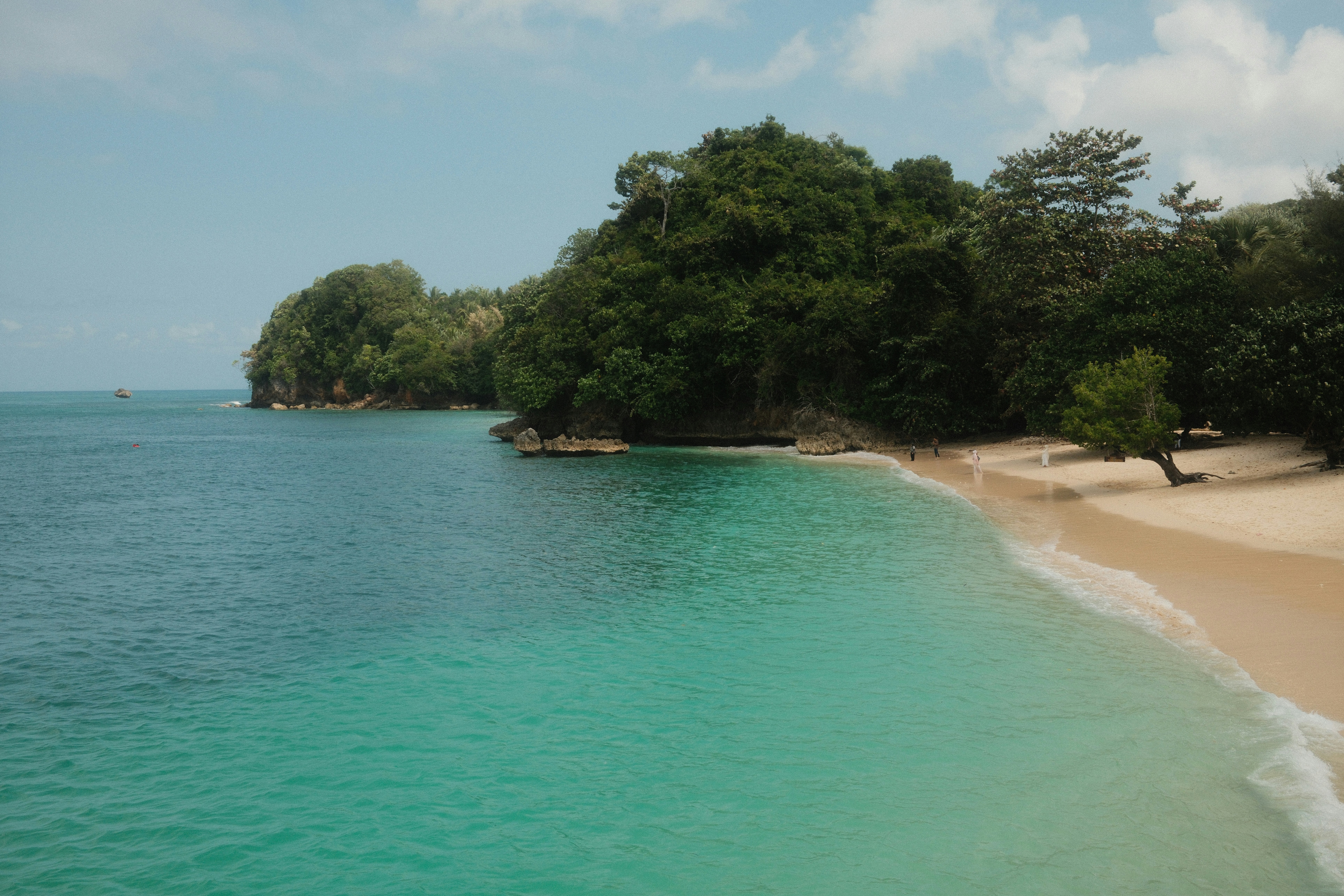 Emerald Shoreline: A Quiet Cove Lapped by Turquoise Waters