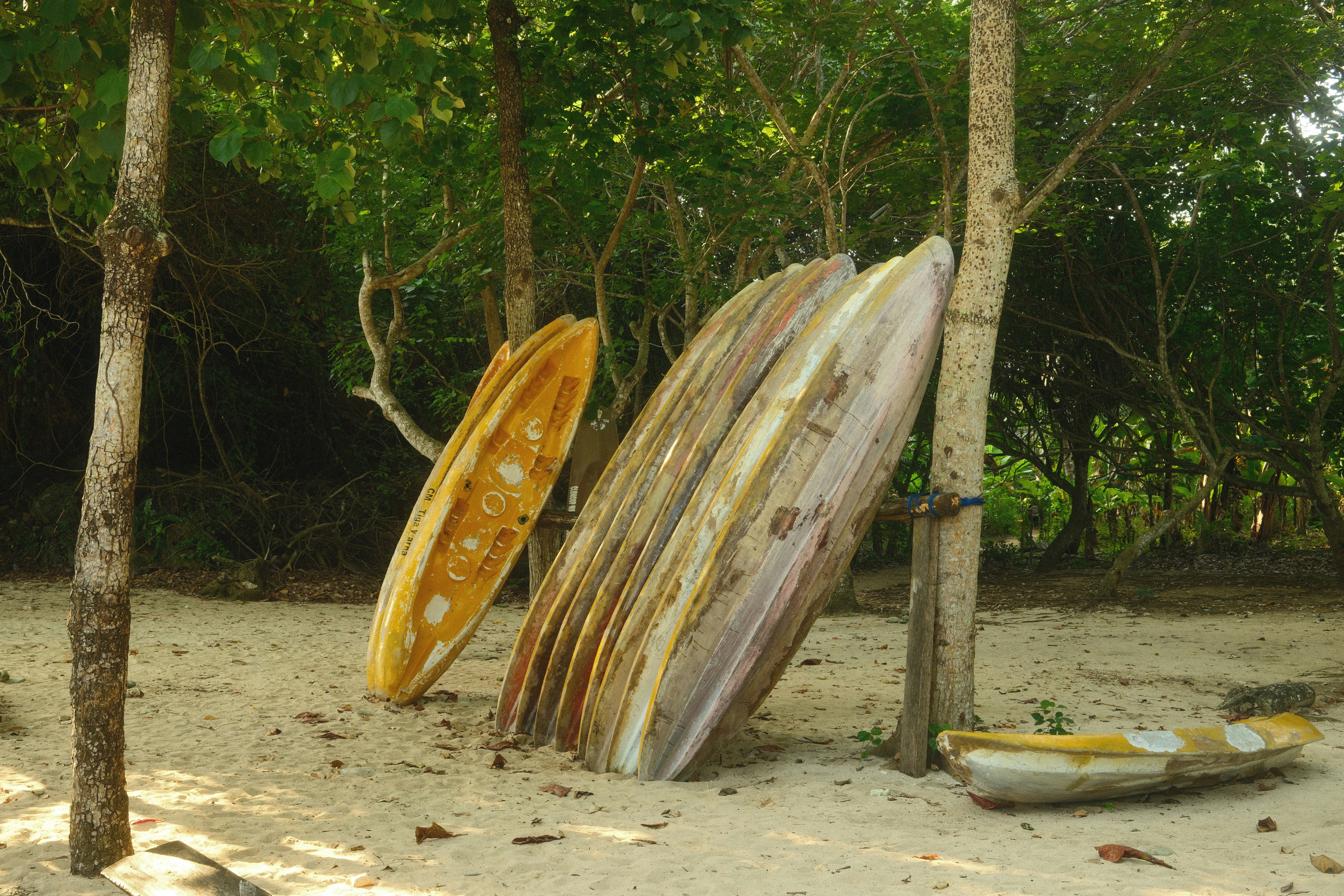 Weathered Surfboards Resting Against a Beach Shoreline