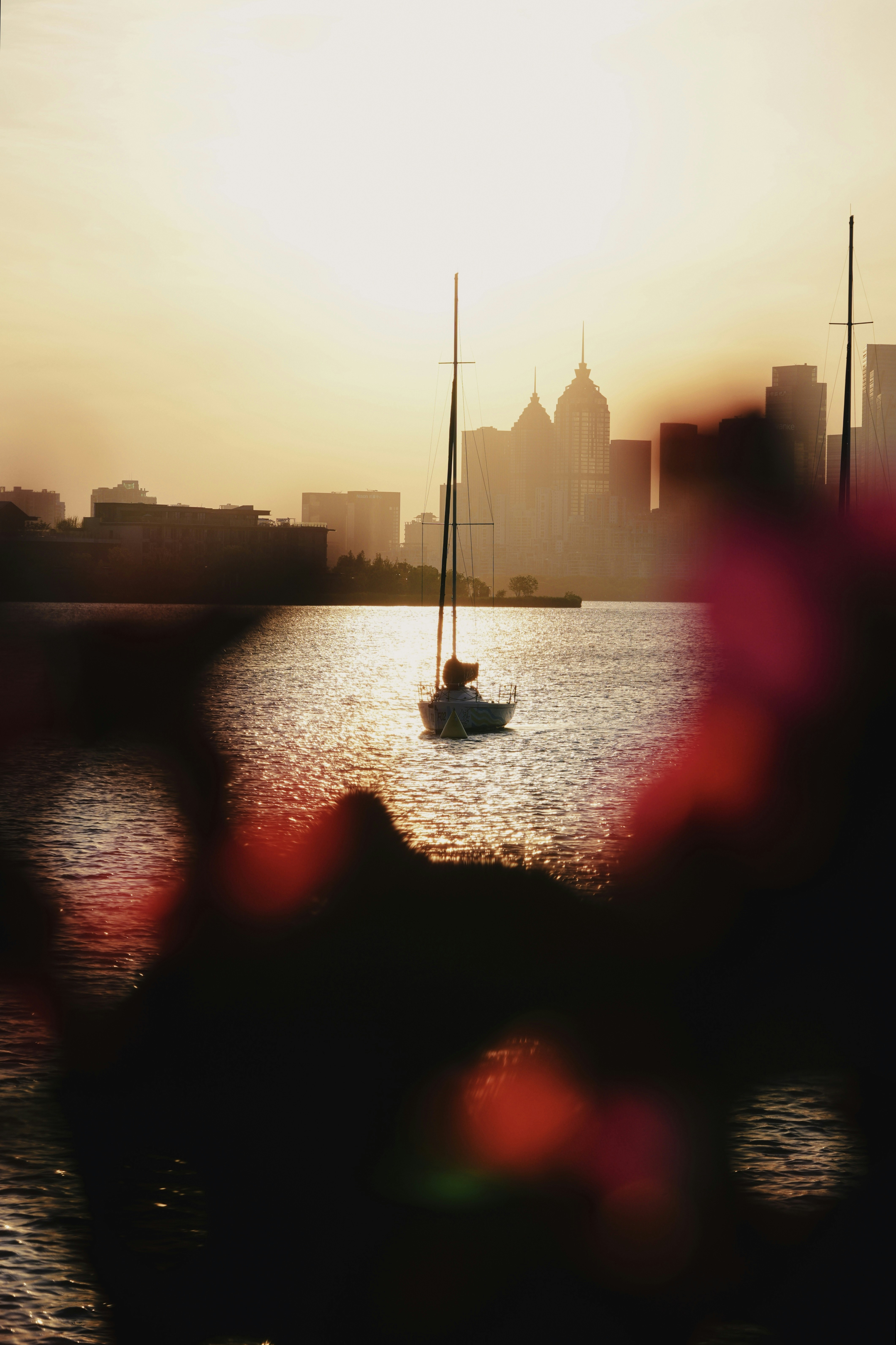 Golden Hour on the Harbor: A Sailboat Silhouette Against a Distant City Skyline