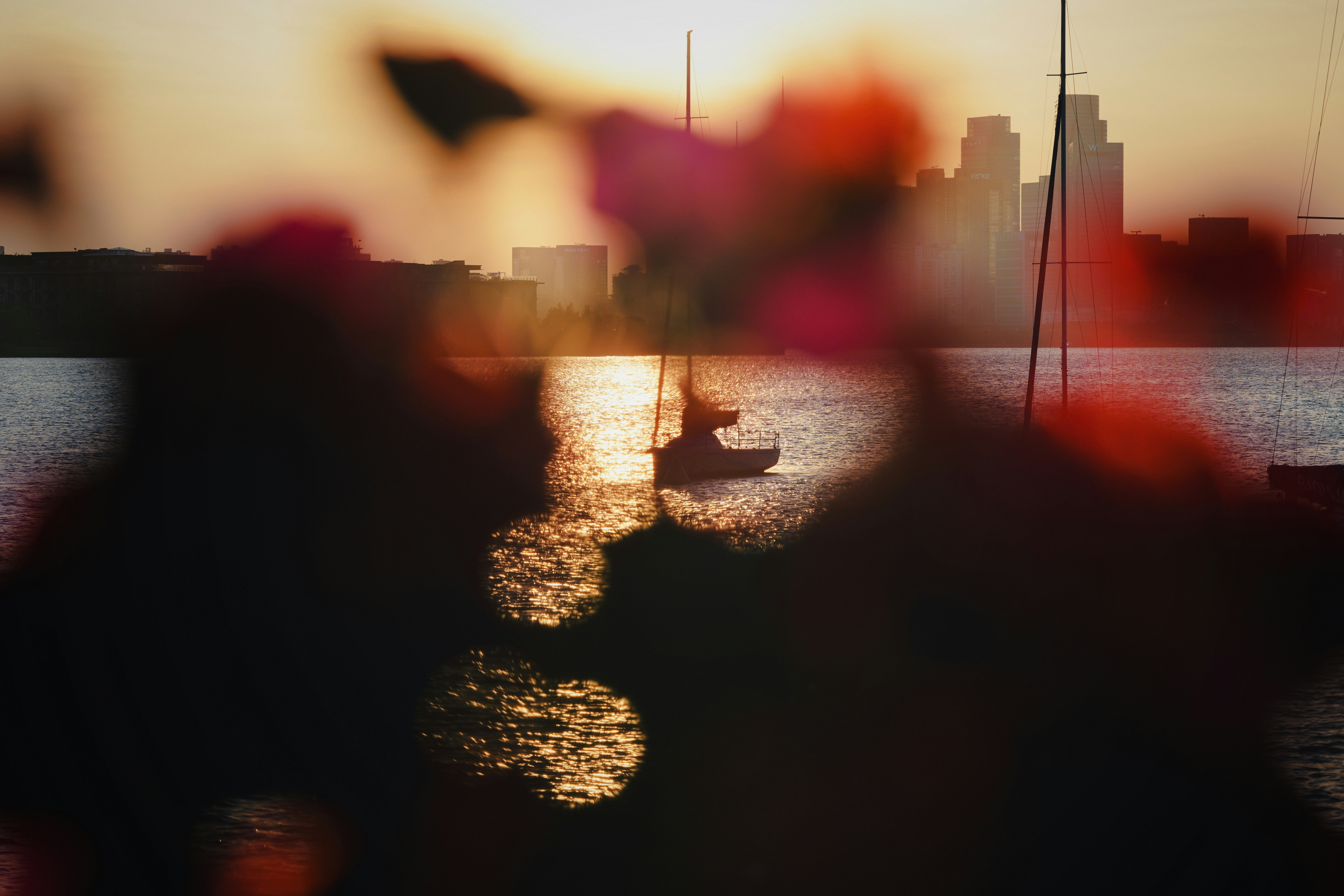 Silhouette of a Dusk Harbor with Blooming Foreground Haze
