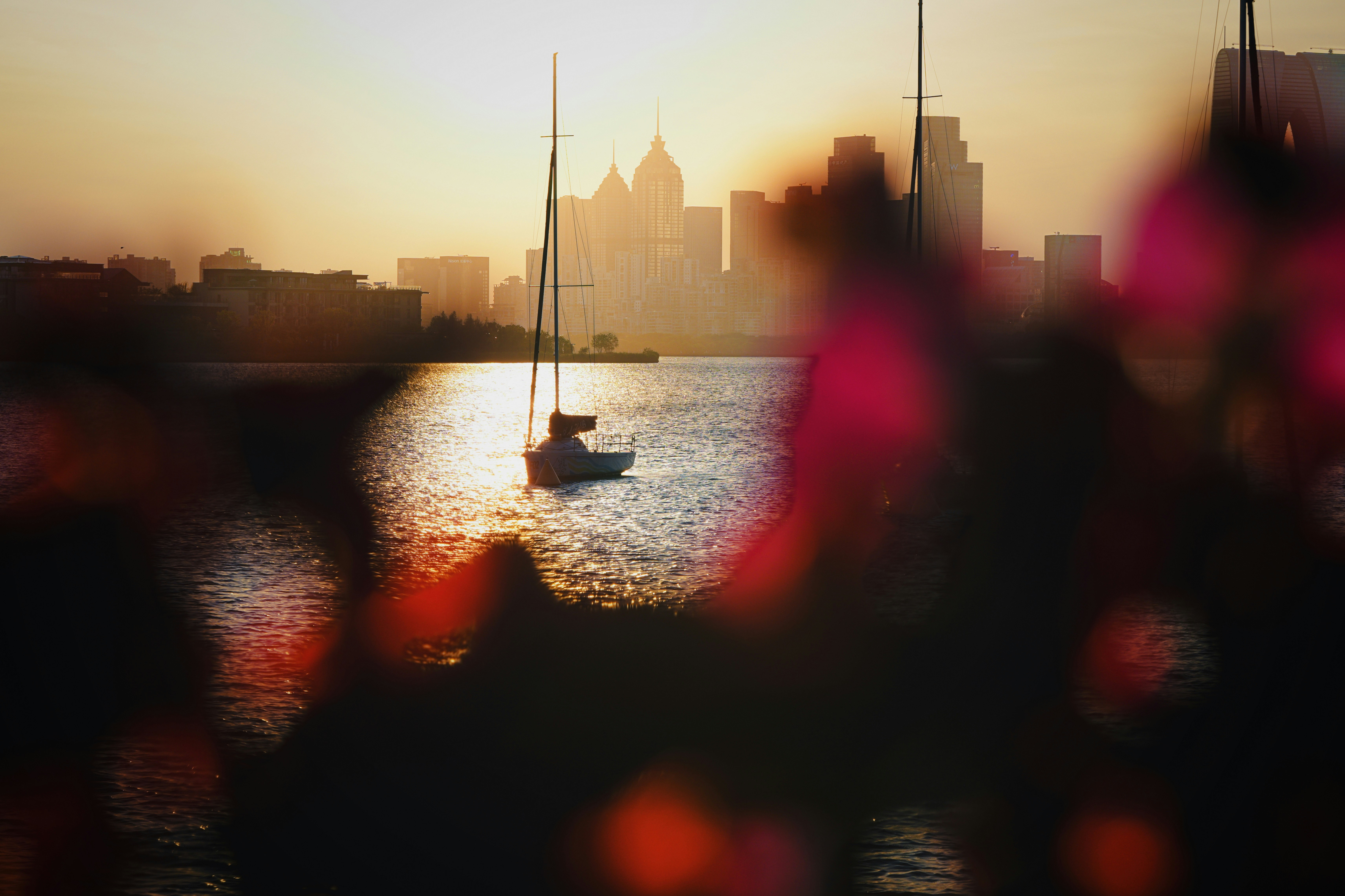 Sunset Silhouette: Sailboat at the City Edge
