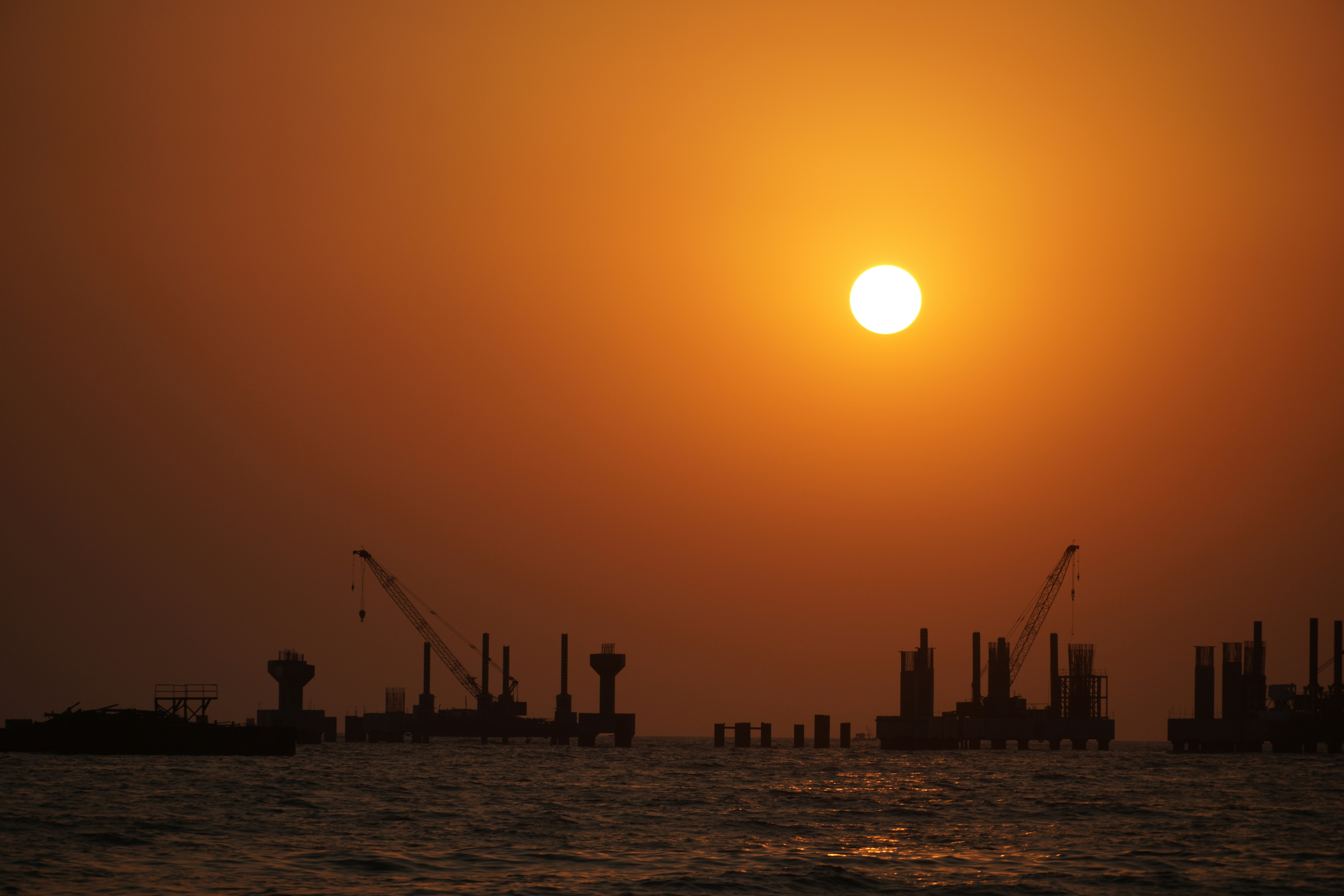 Sunlit Harbor: Silhouettes of Cranes Against the Dusk