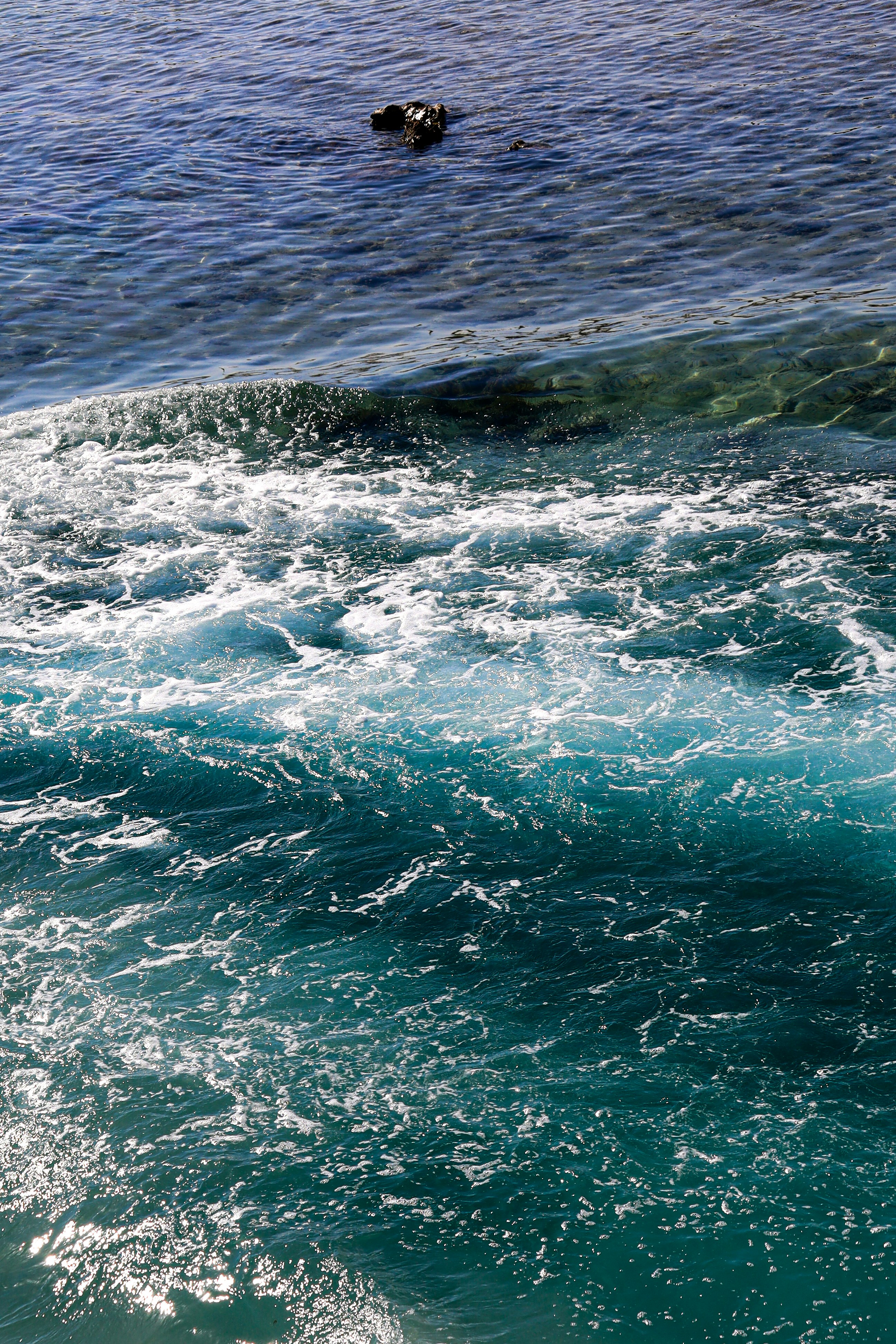 Slice of Blue: A Sunlit Crest Streaking Through Turquoise Water