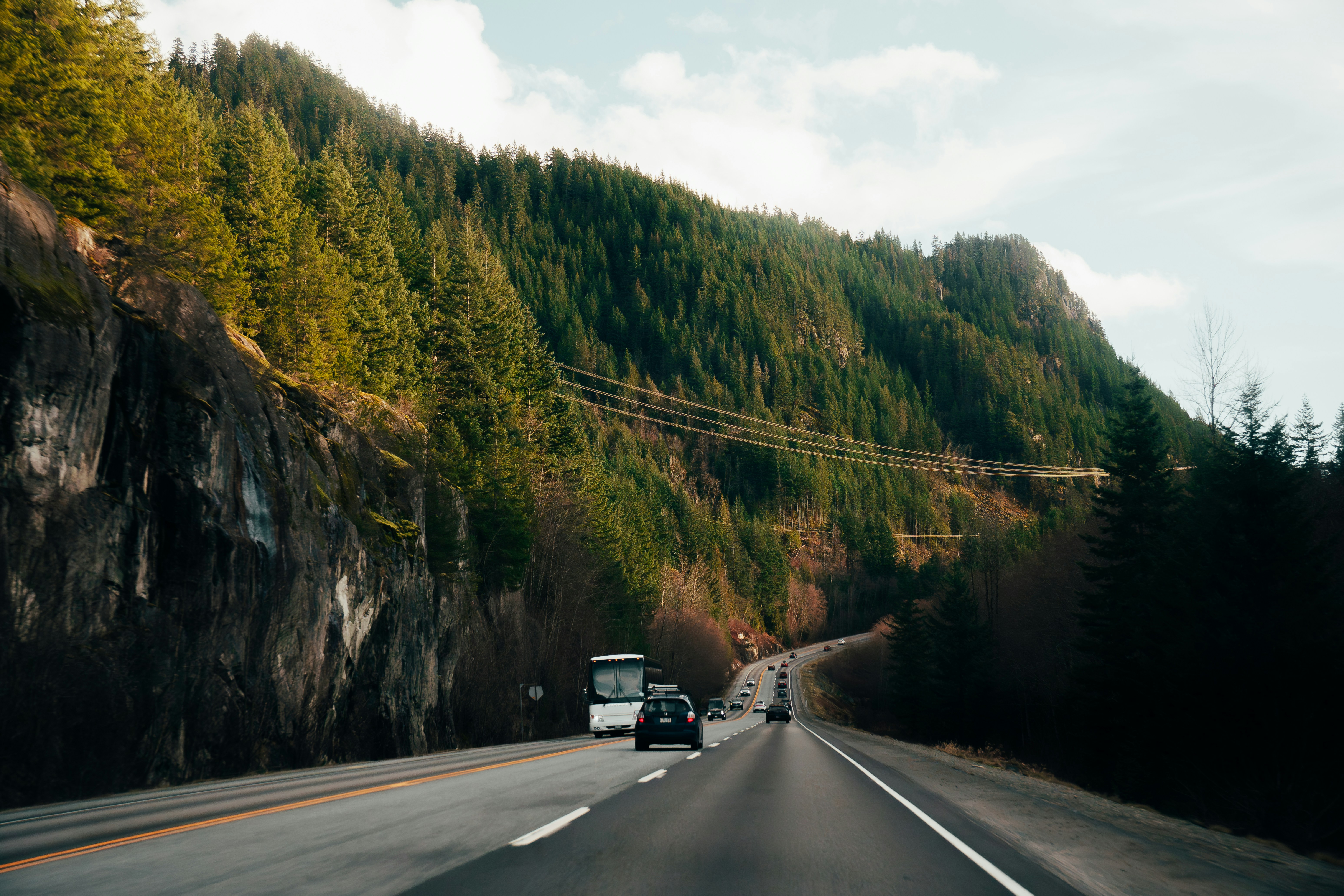 Highway Through the Pines: A Quiet Drive Beneath Forested Cliffs
