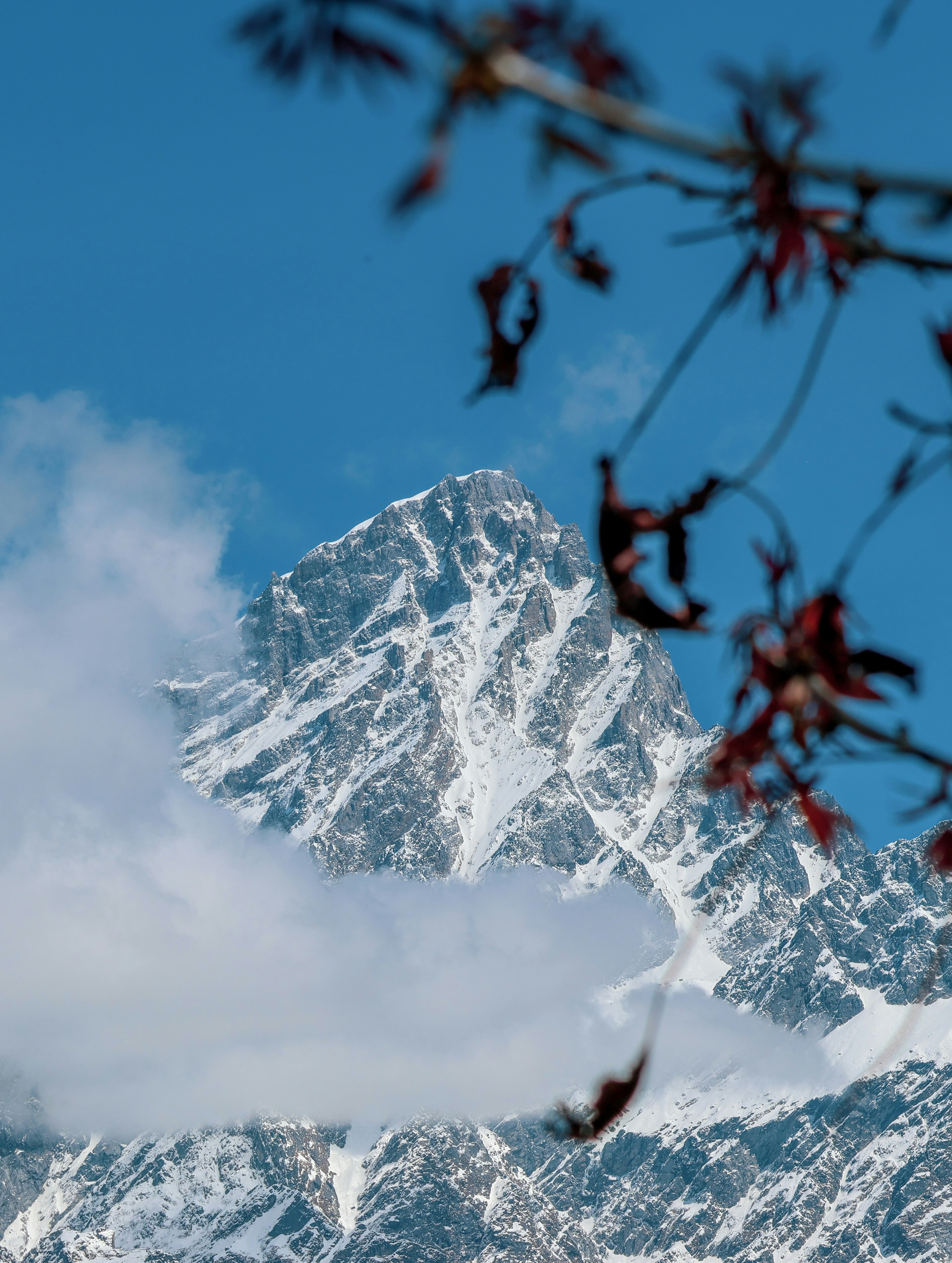 Snowbound Summit Peeking Through Alpine Veil