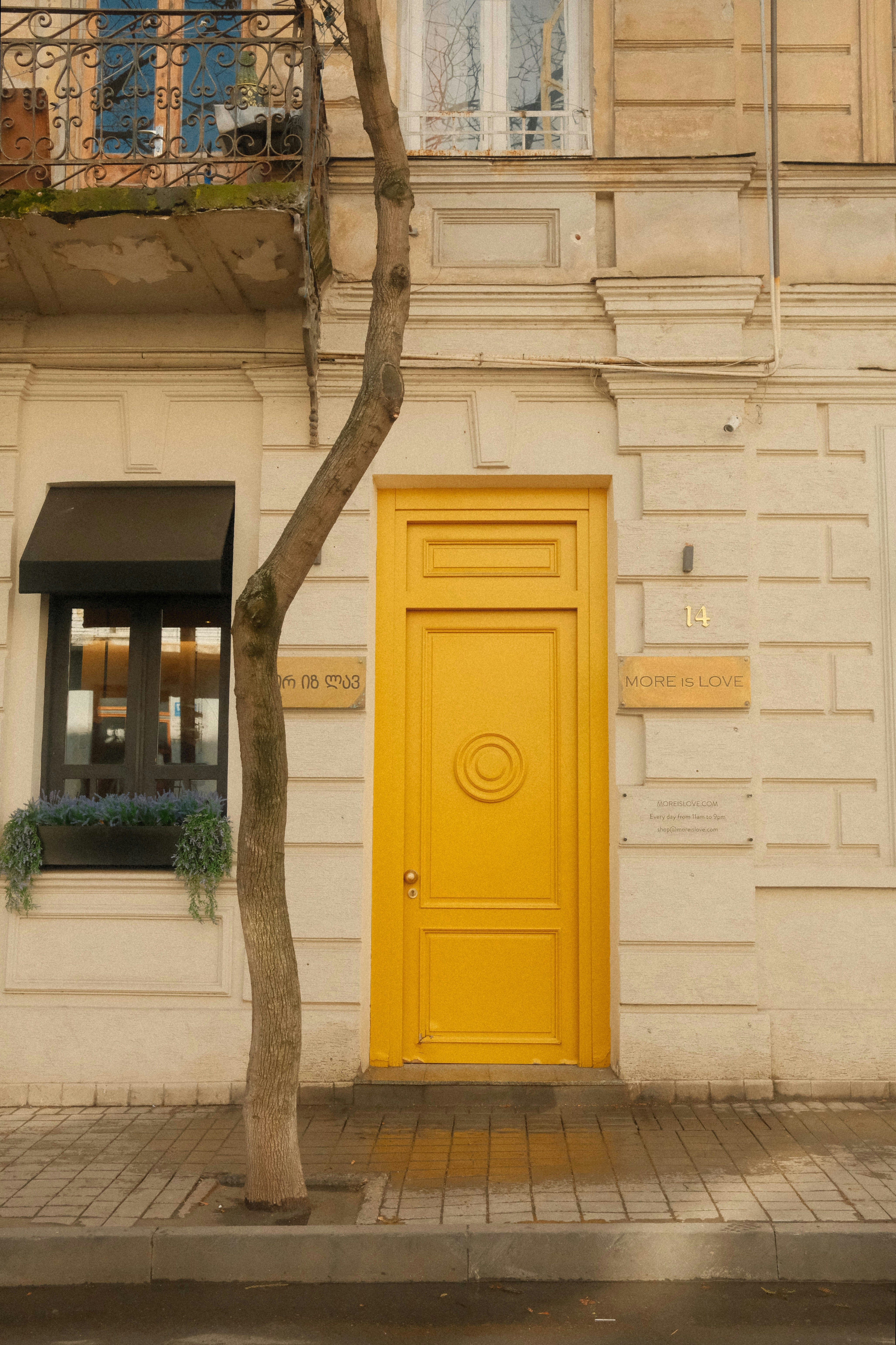 Golden Doorway Framed by a Winding Tree on a Quiet Street