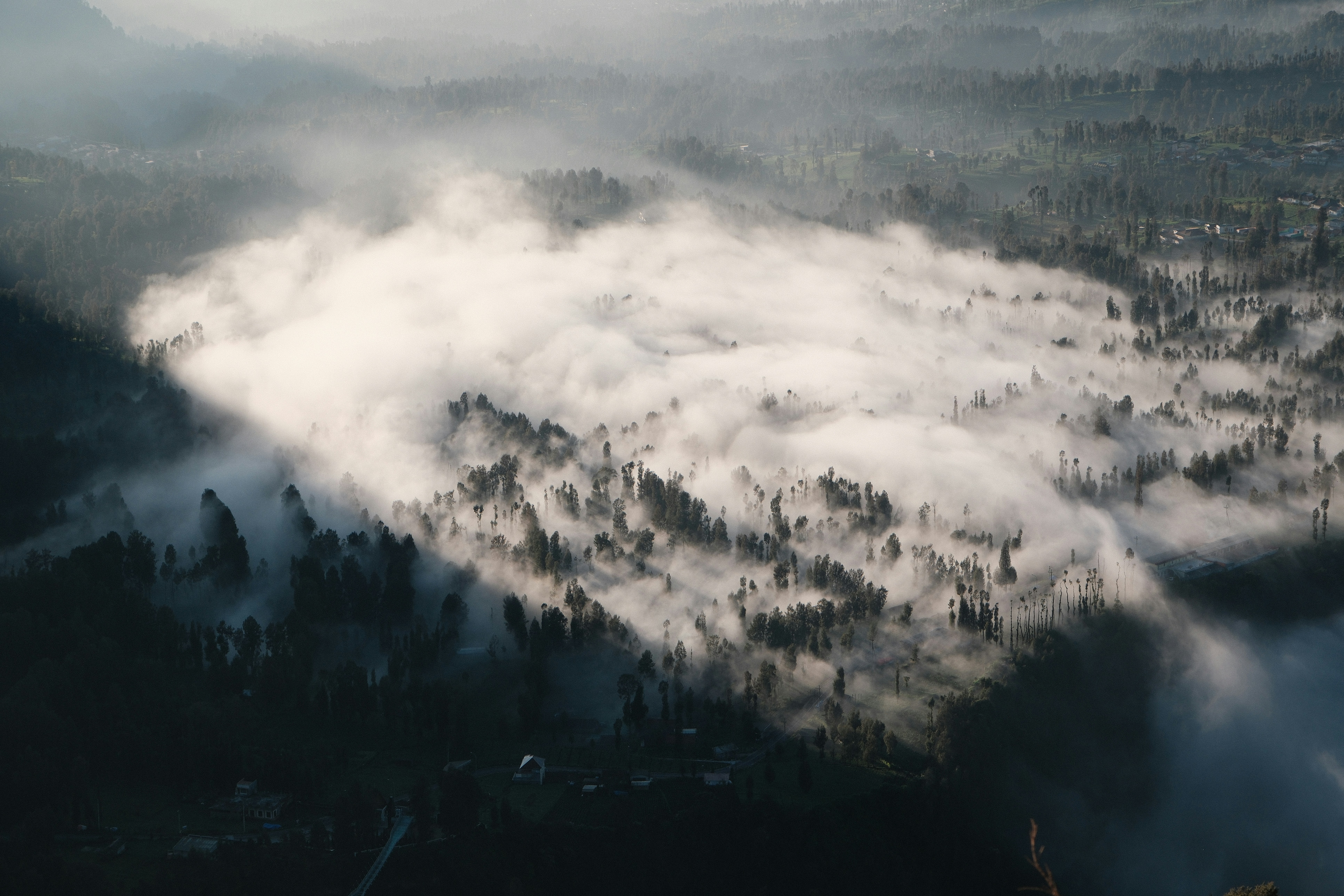 Mist-Laced Valley: A Quiet Dawn Above the Pines