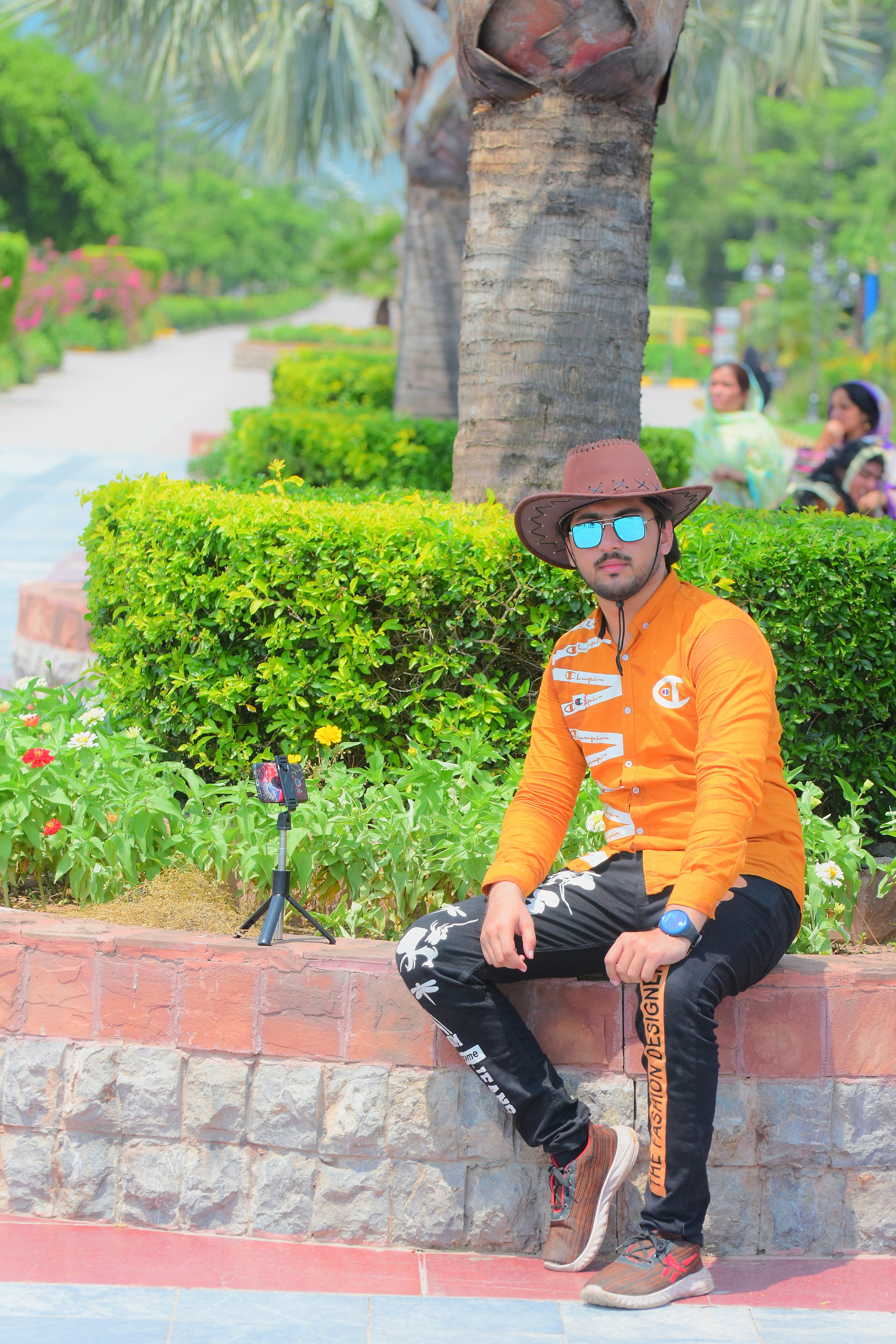 Compass of Colors: The Orange-Hued Traveler at the Garden Gate