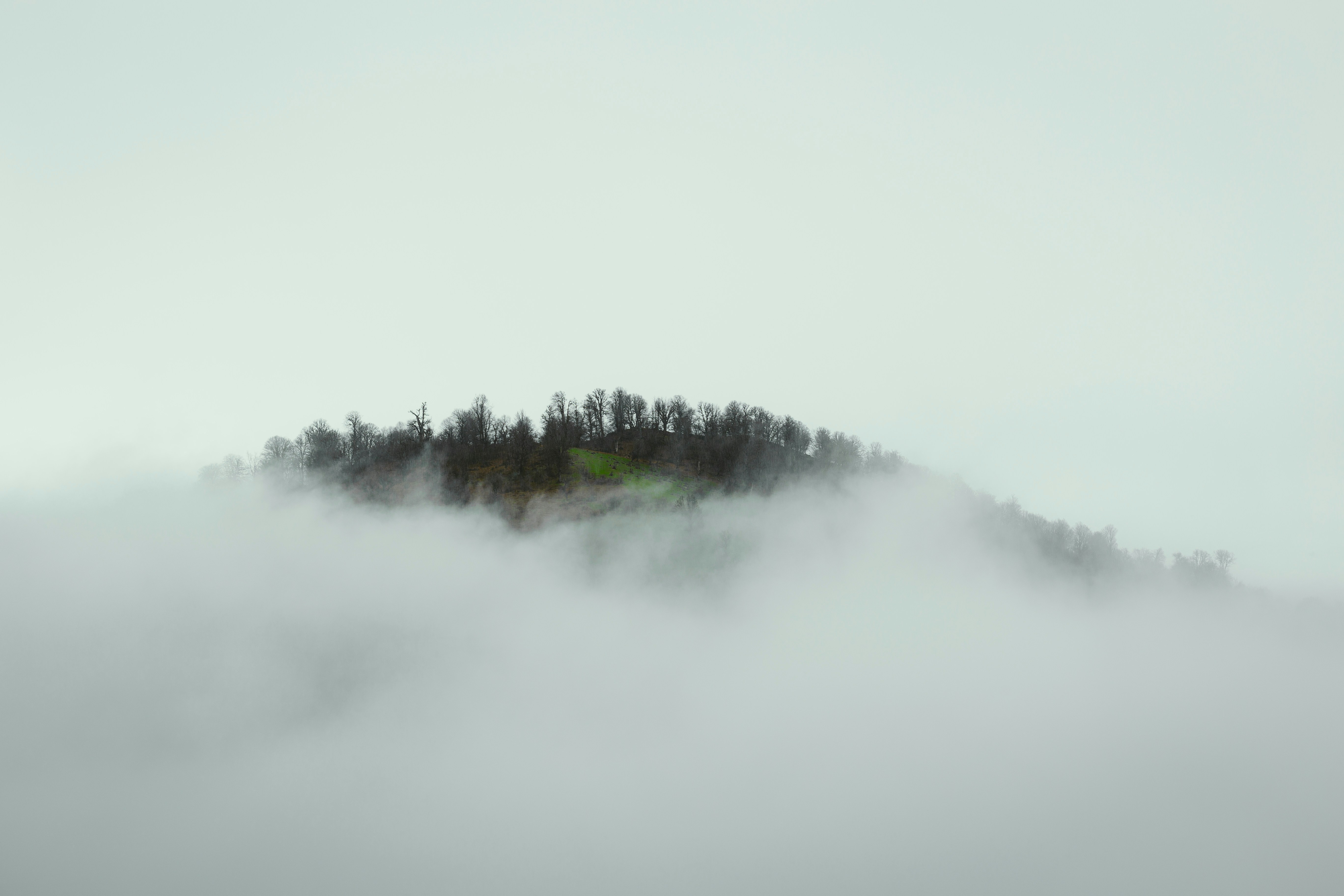 Mist-Clad Hilltop Singularity