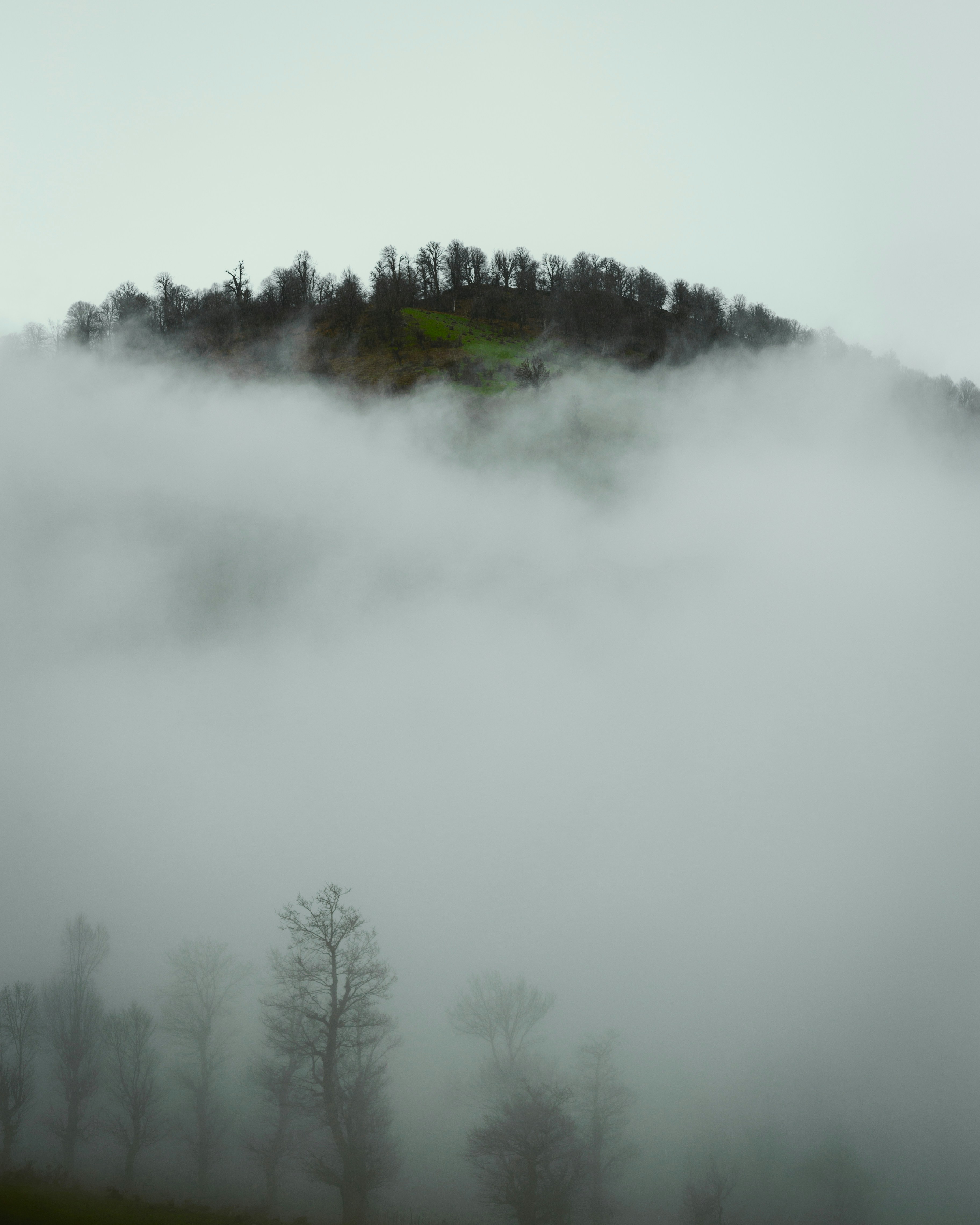 Fog-Cilled Summit: A Misty Hill Emerges Above the Veil