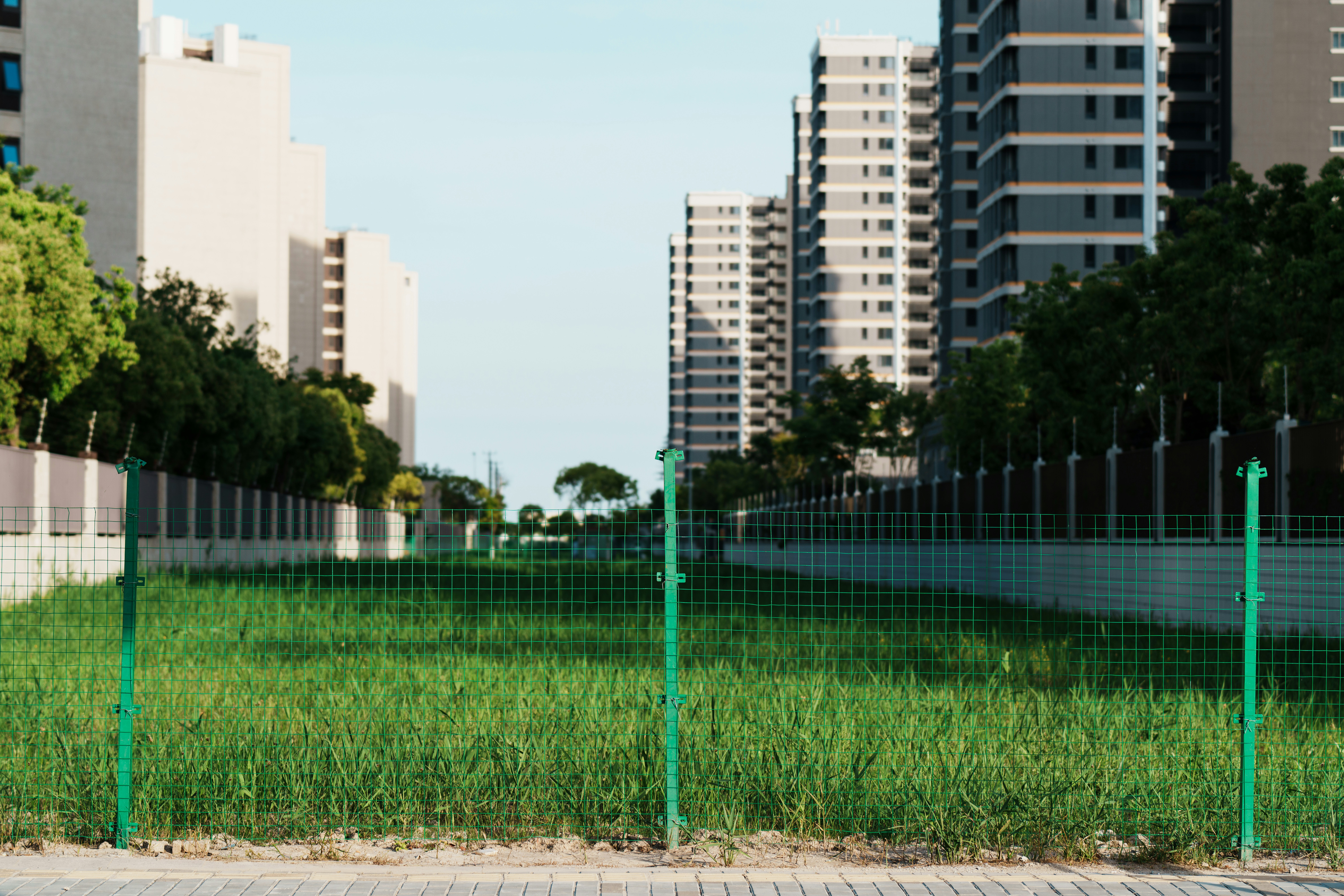 Urban Field in the Gap Between Towers