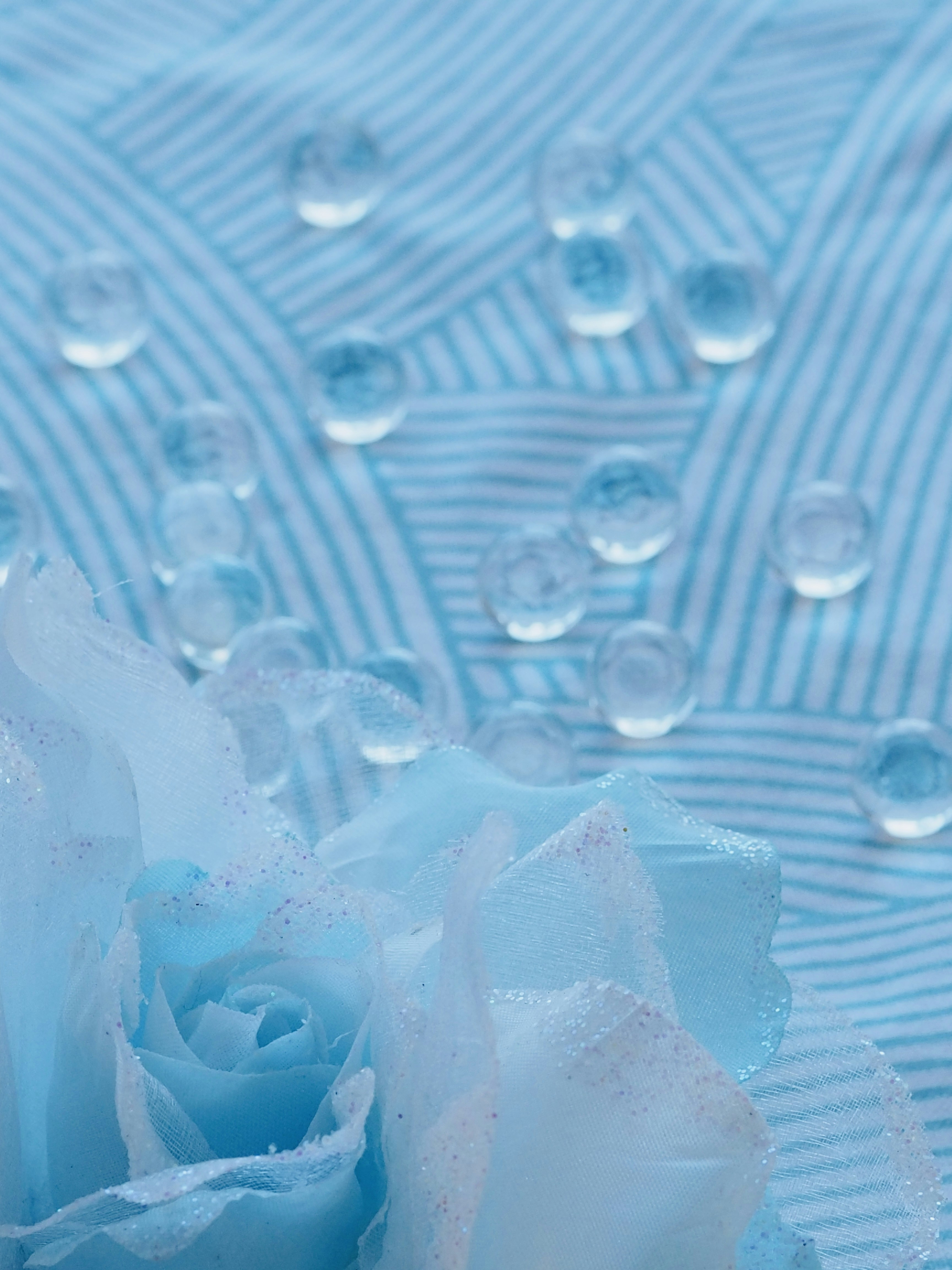 Azure Petal Bloom Under Dewdrop Veil