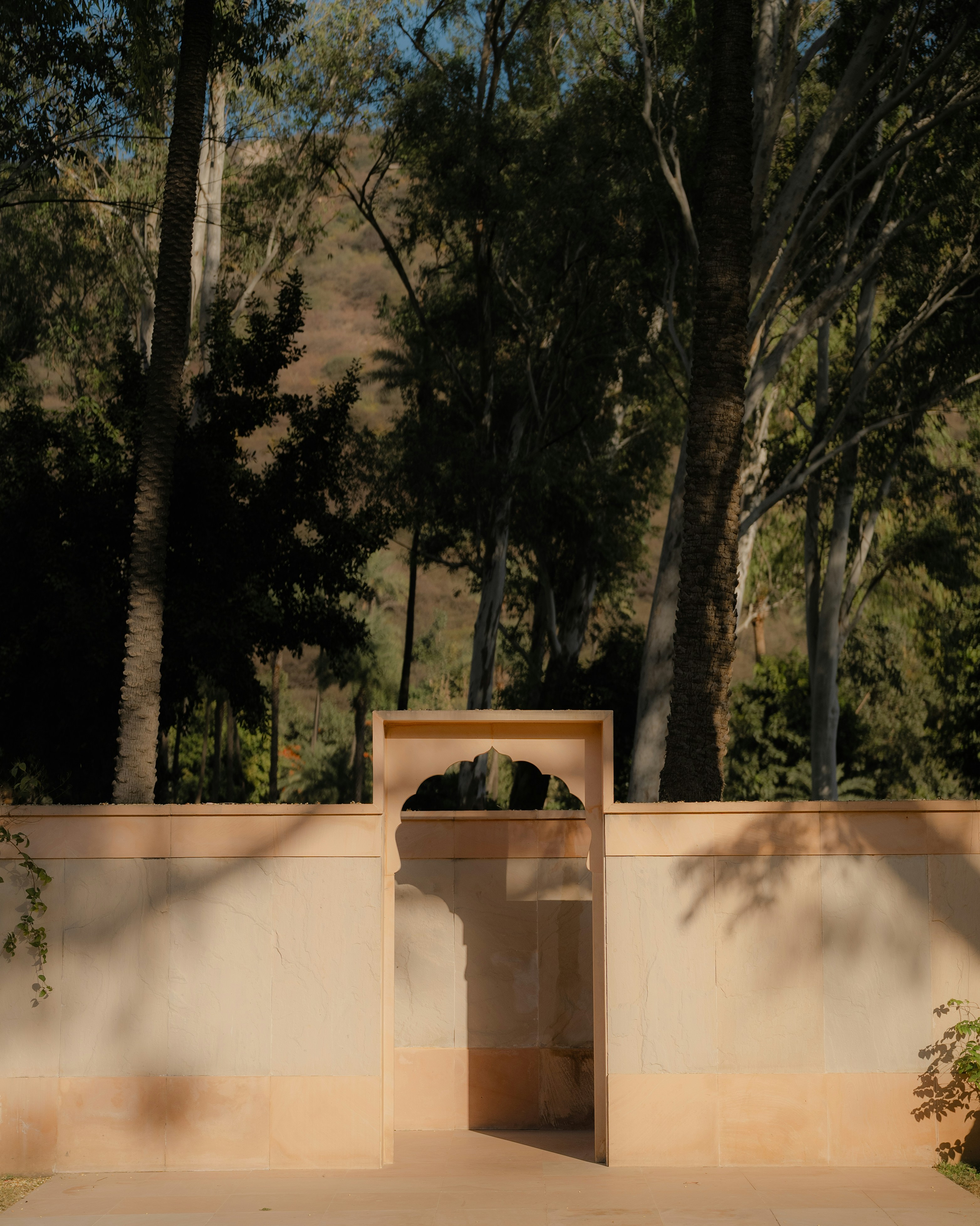 Gateway in the Sun: A Quiet Courtyard Corridor Framed by Tall Pines