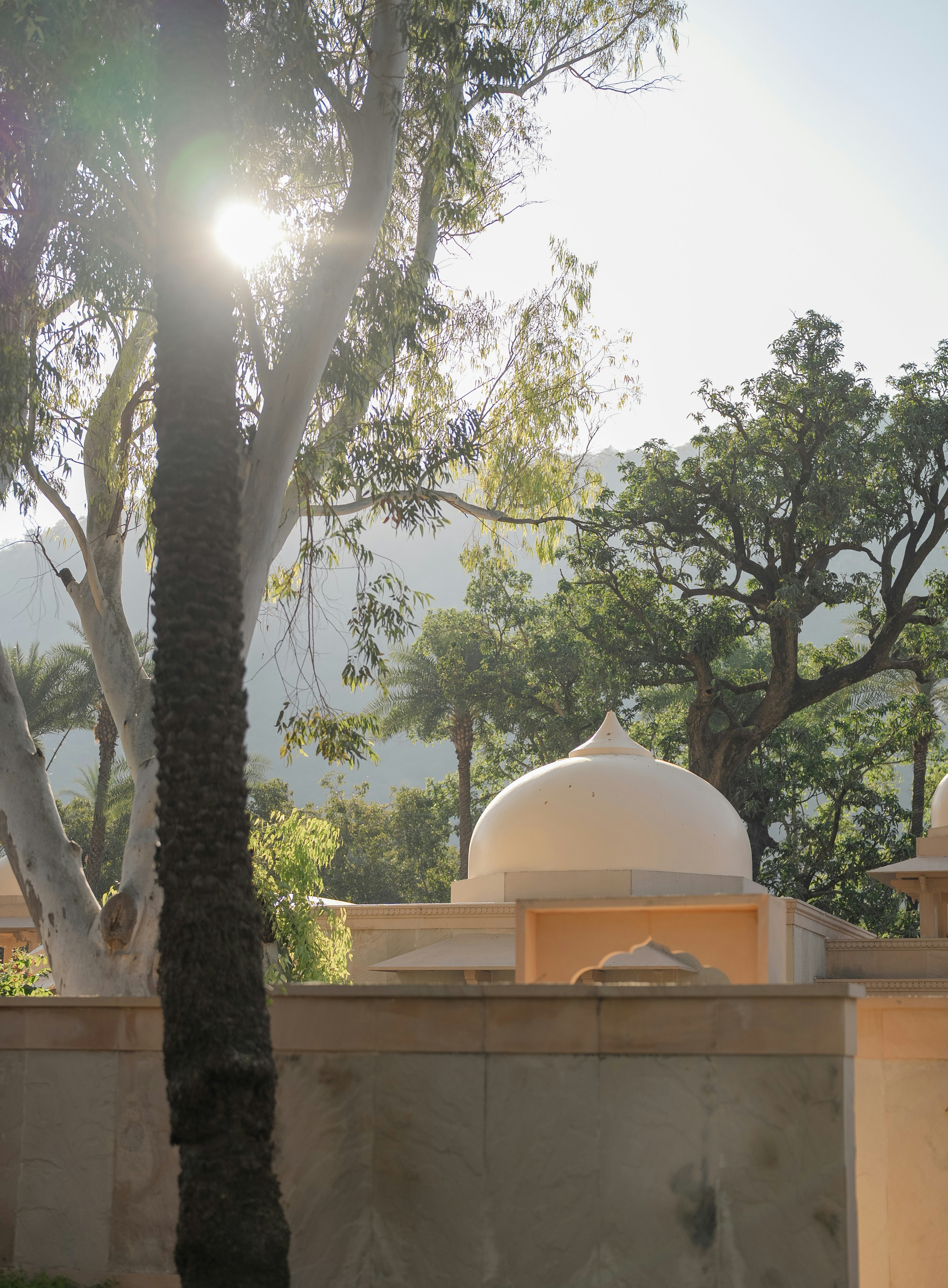 Sunlit Dome Over Marble Courtyard Framed by Palm Trunk