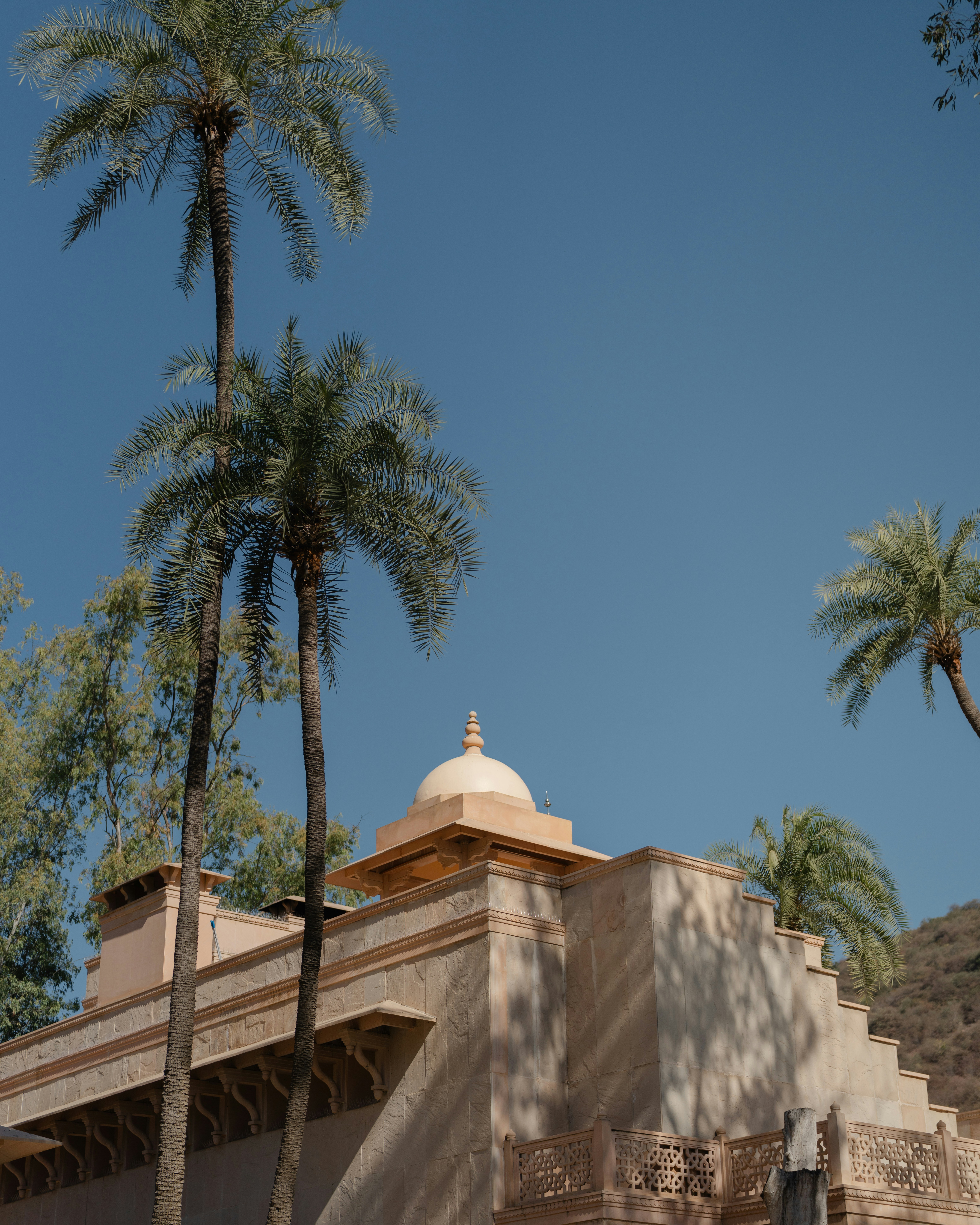 Palm-shaded facade: sunlit adobe architecture under a blue desert sky