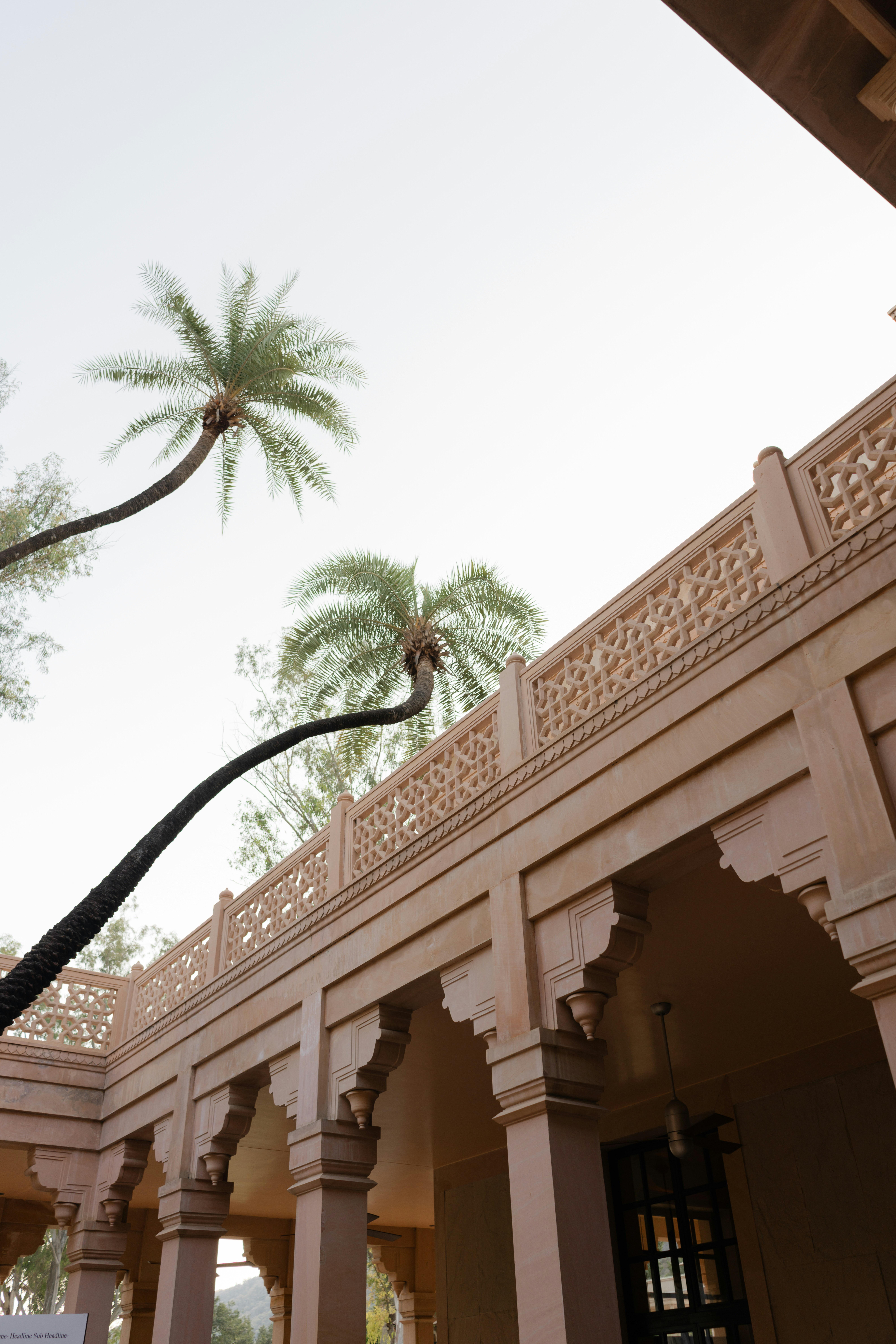 Palm Arches and Painted Sky: A Courtyard Portrait
