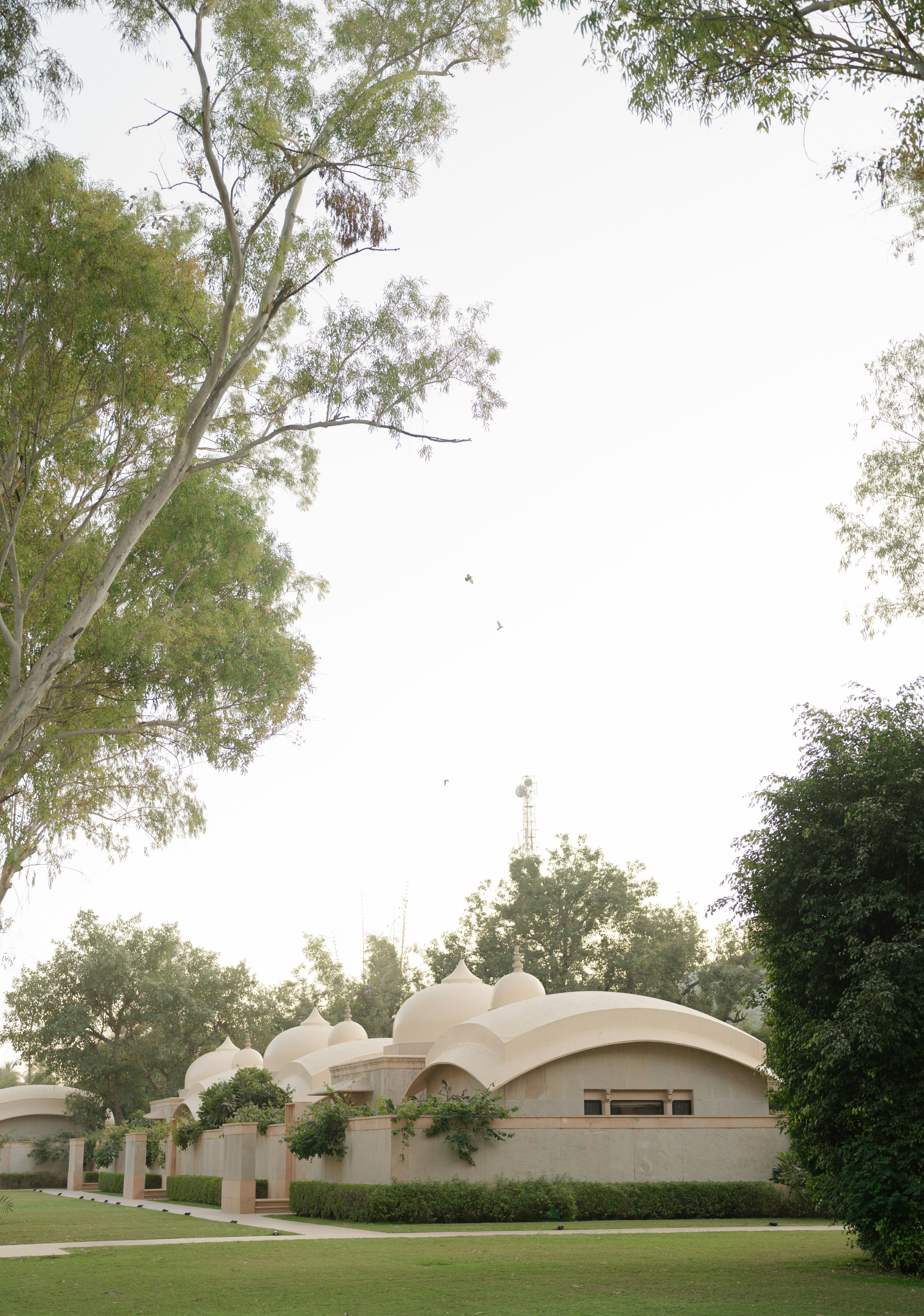 Desert-modern canopy: a sunlit campus building tucked beneath towering trees