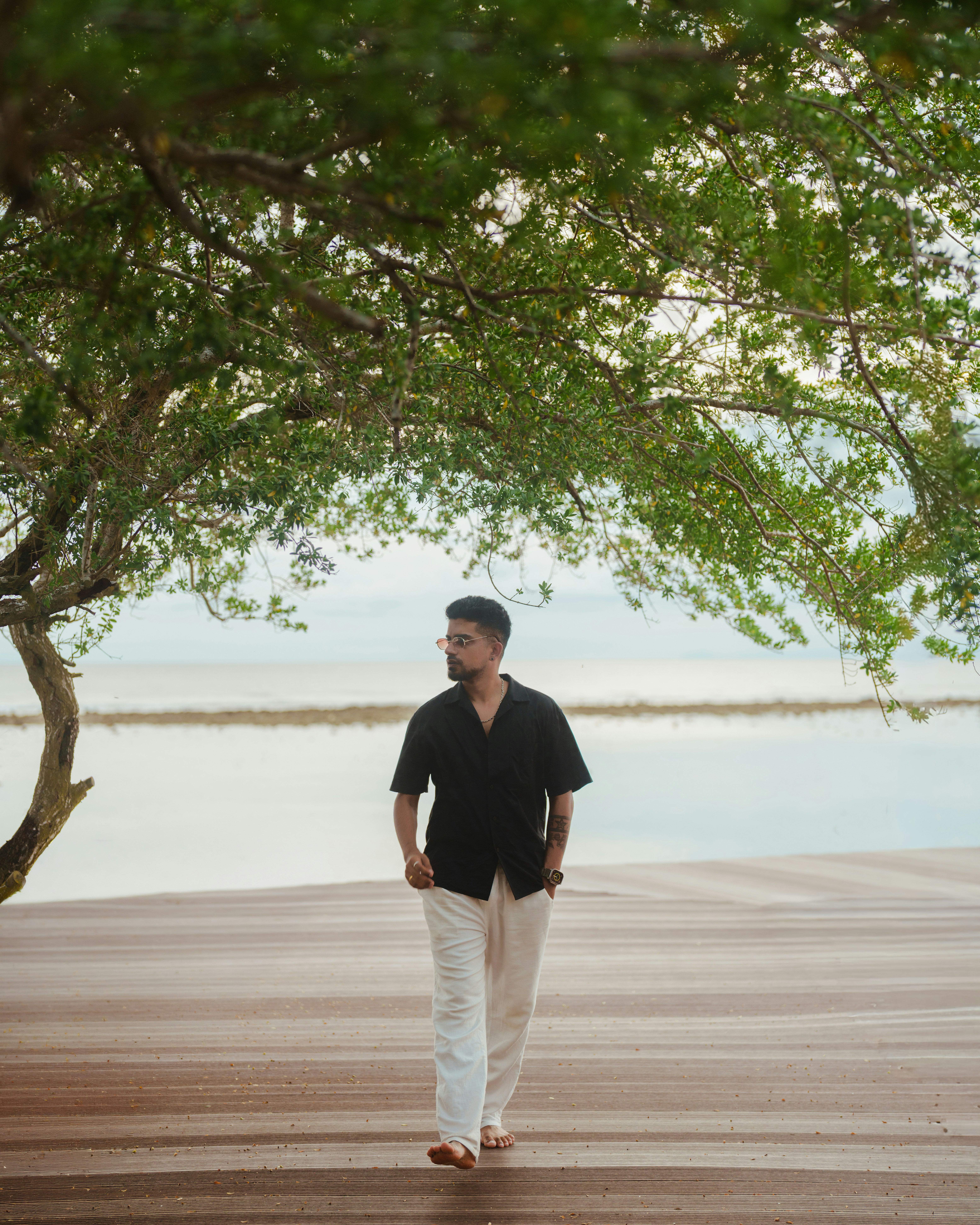 Coastal Walk Under a Canopy: A Quiet Portrait by the Shore