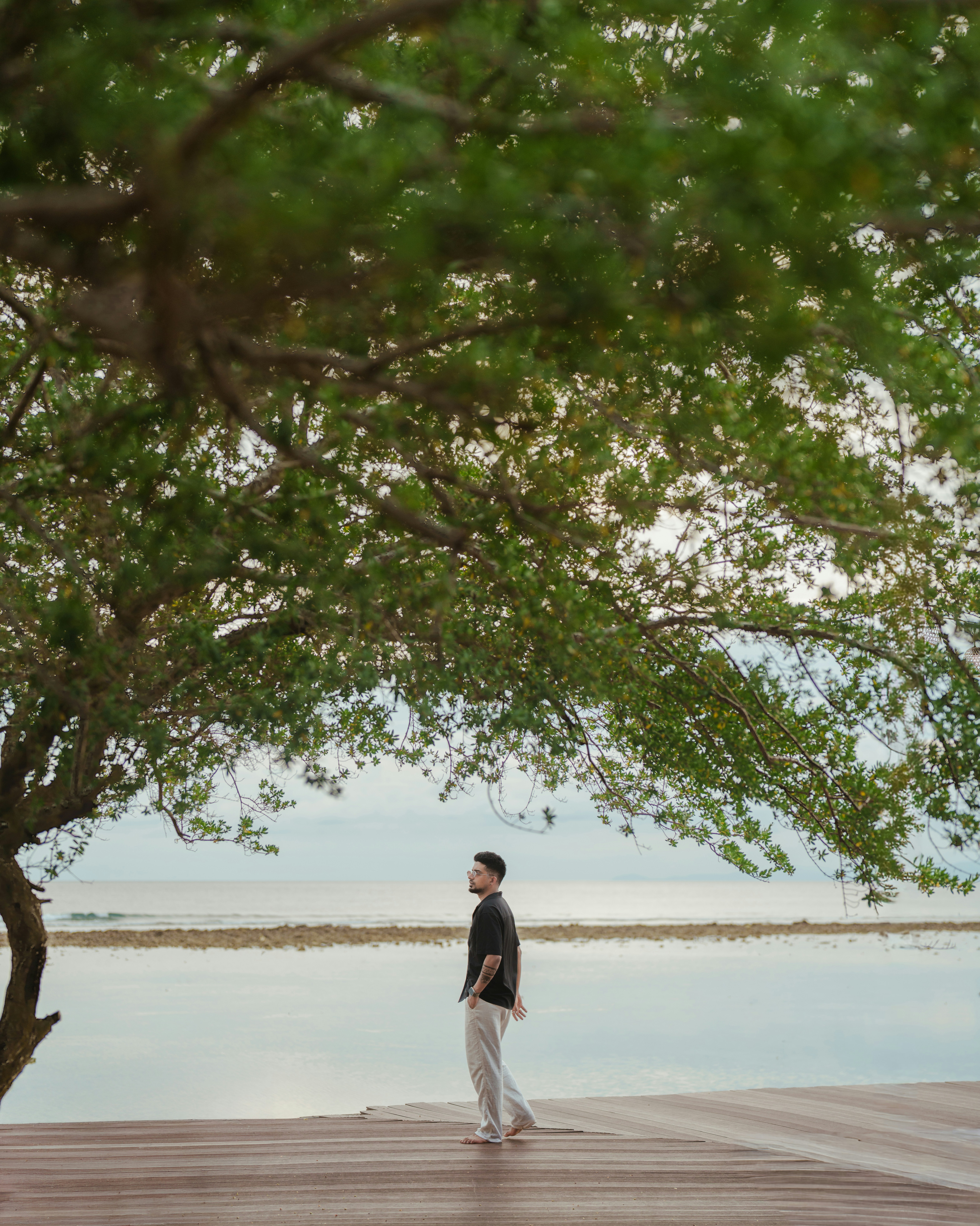 Quiet Moment at the Shore: A Man Beneath the Canopy