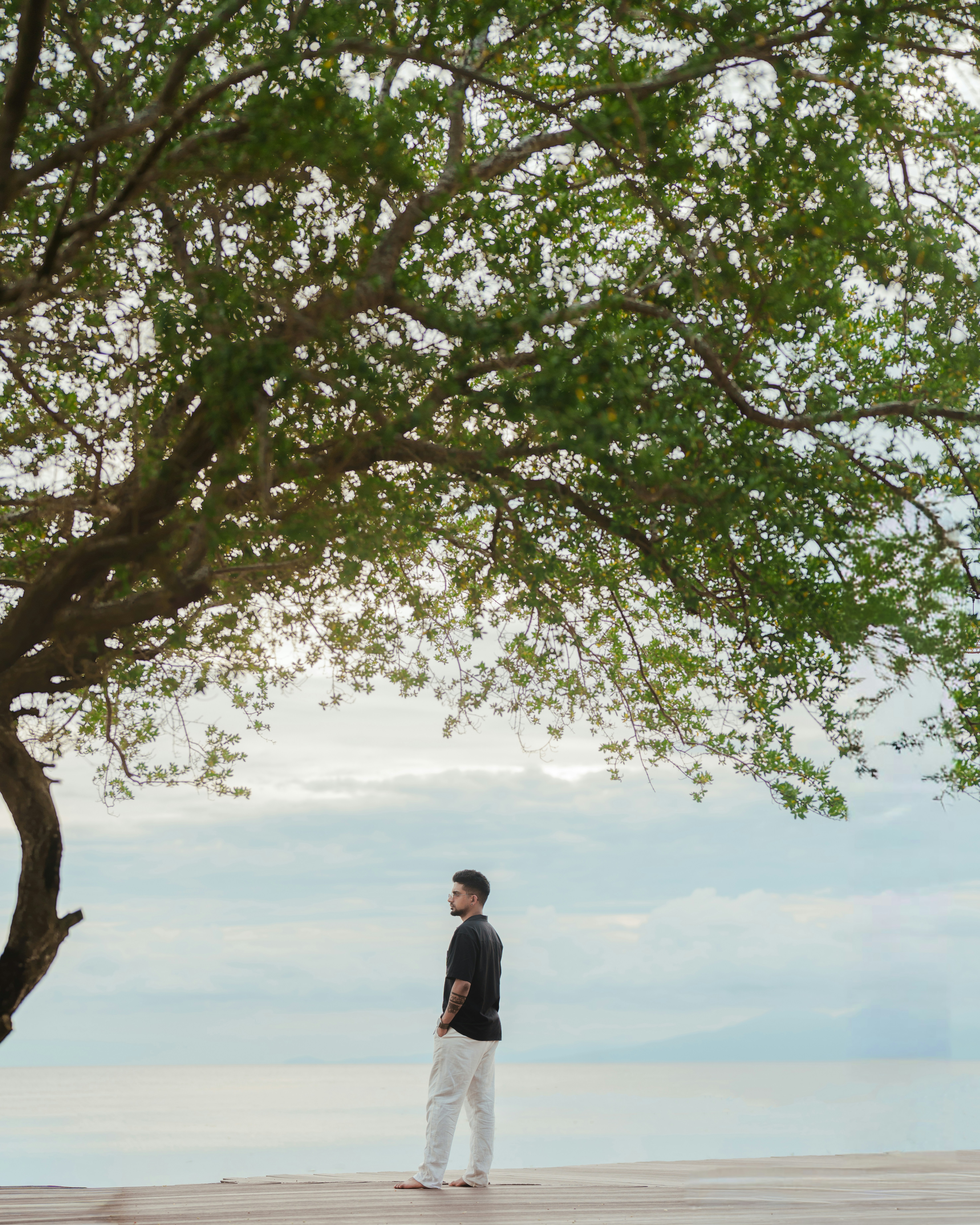 Solitary Stance Beneath a Canopy of Green