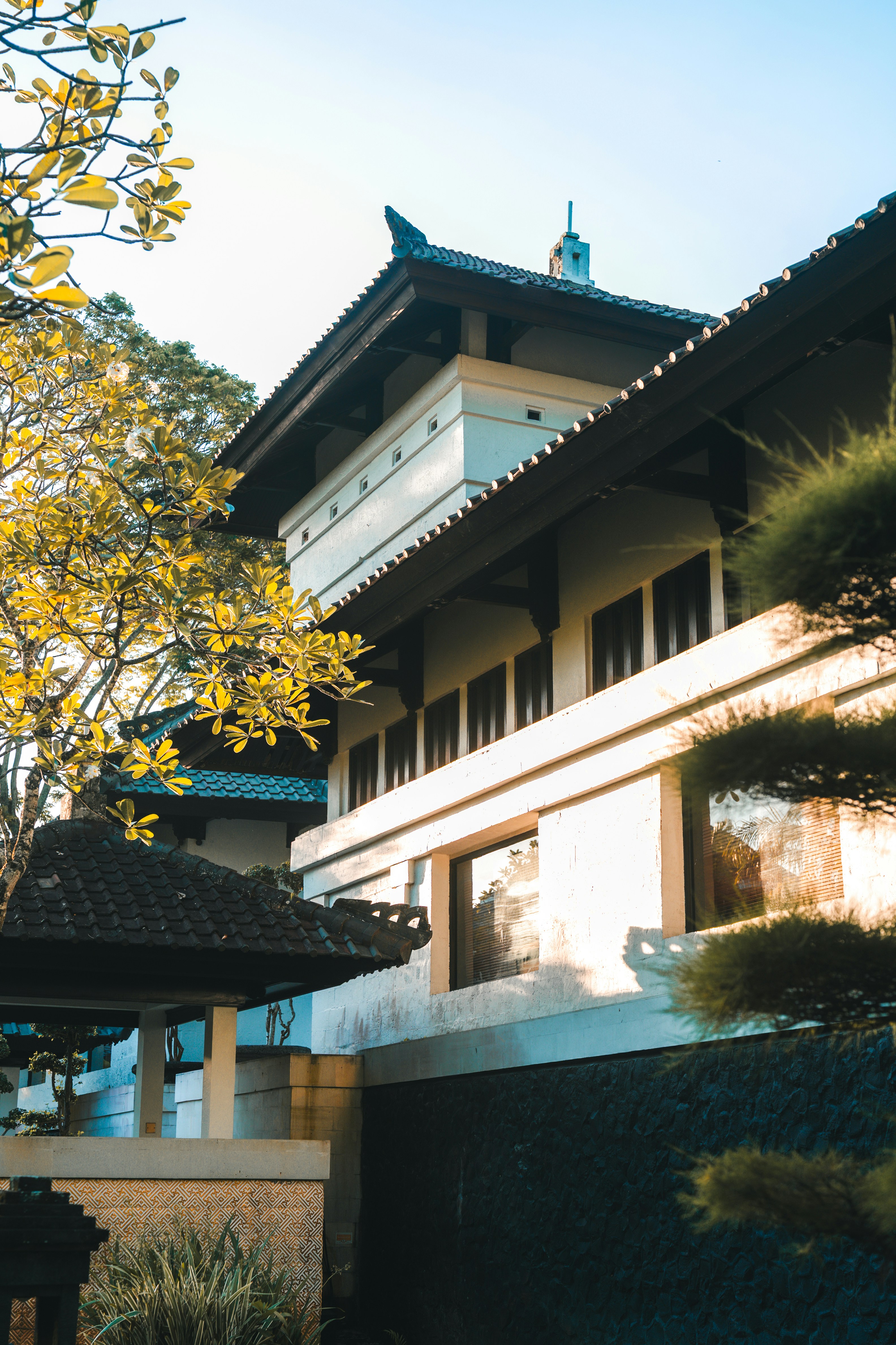 Layered Heritage: A Traditional Roofline Framed by Golden Foliage