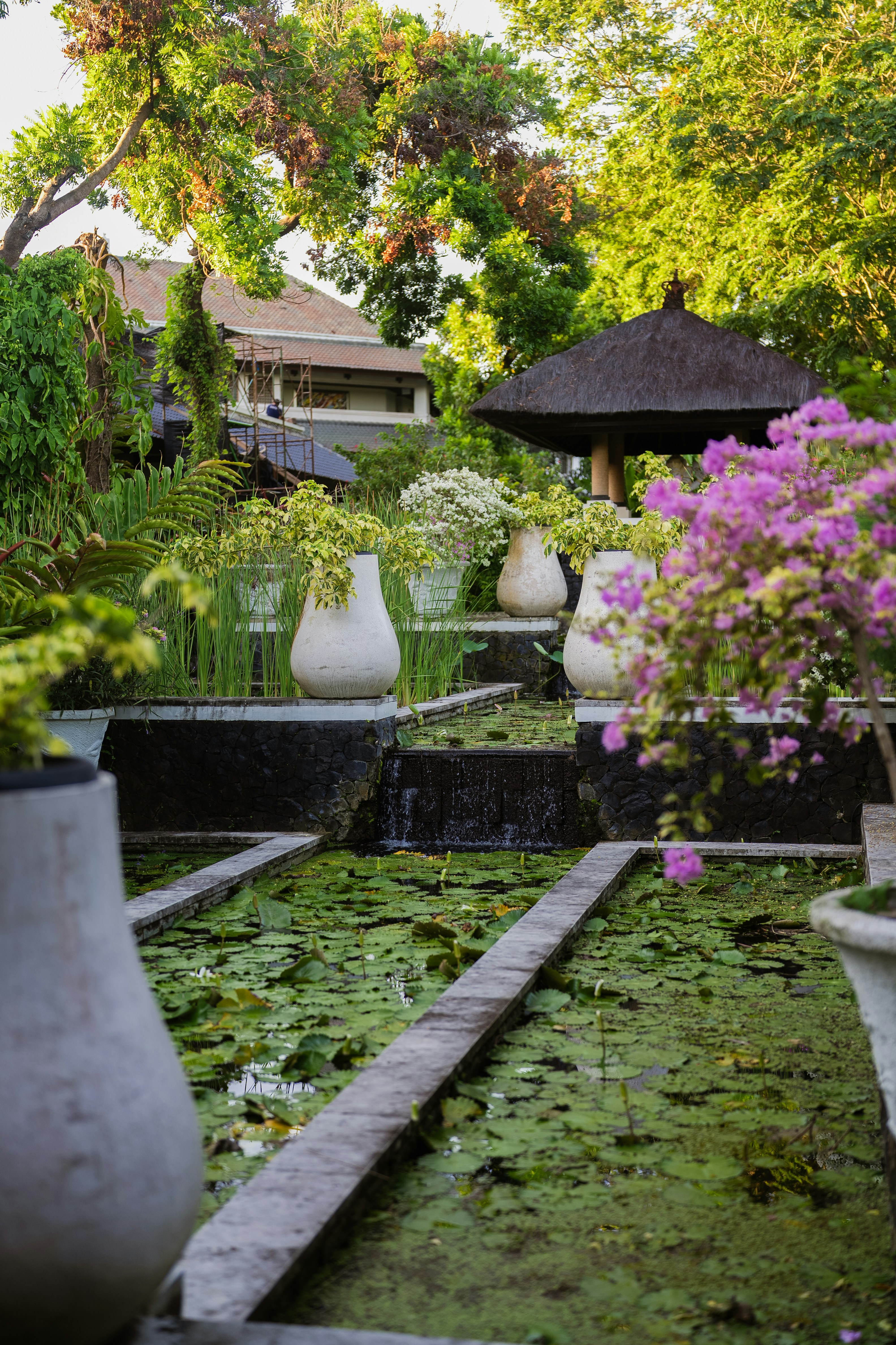 Serene Garden Pond Framed by Blossoms and Lanterns