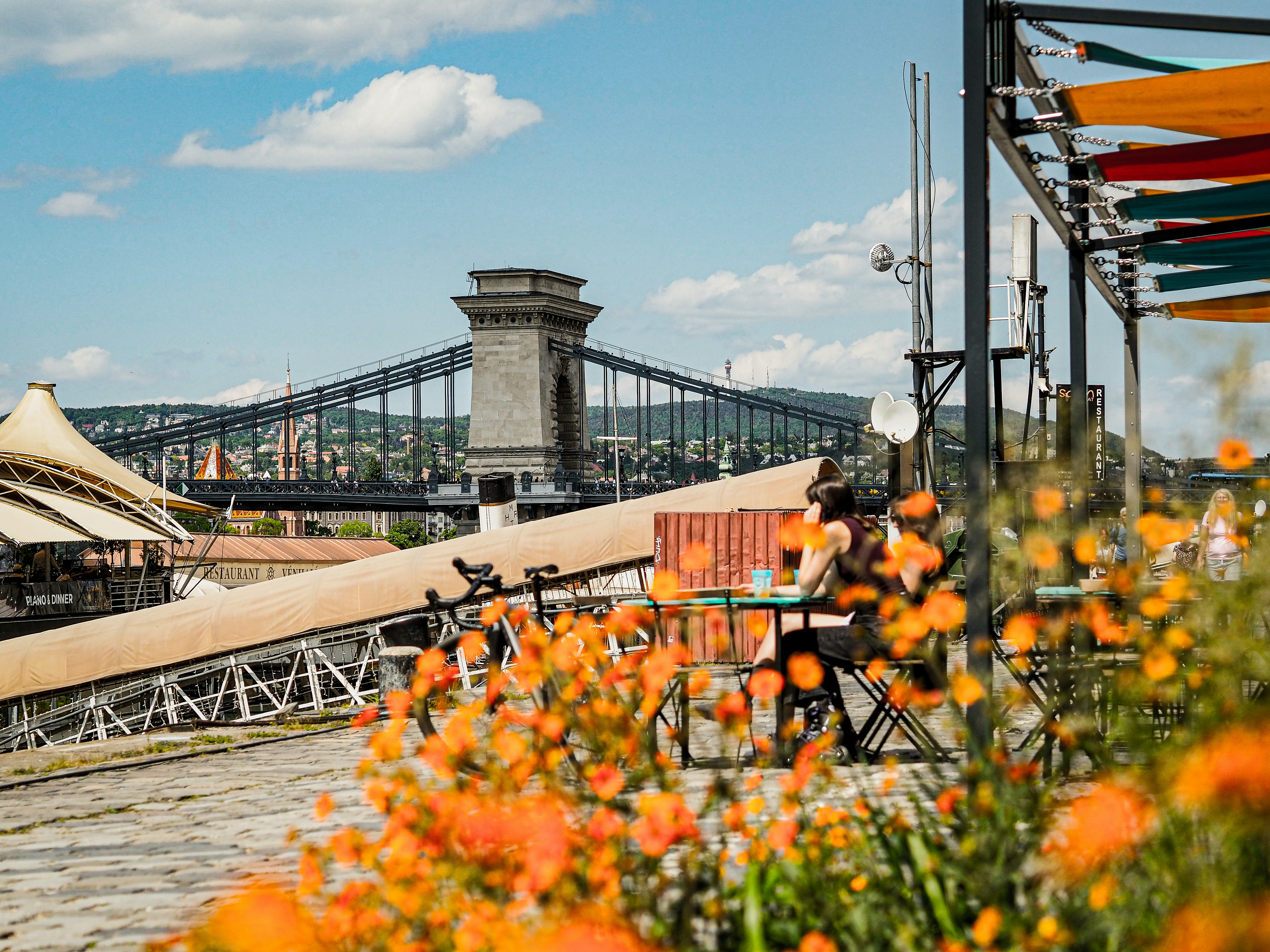 Riverside Terrace with Bridge Framing and Bright Floral Foreground