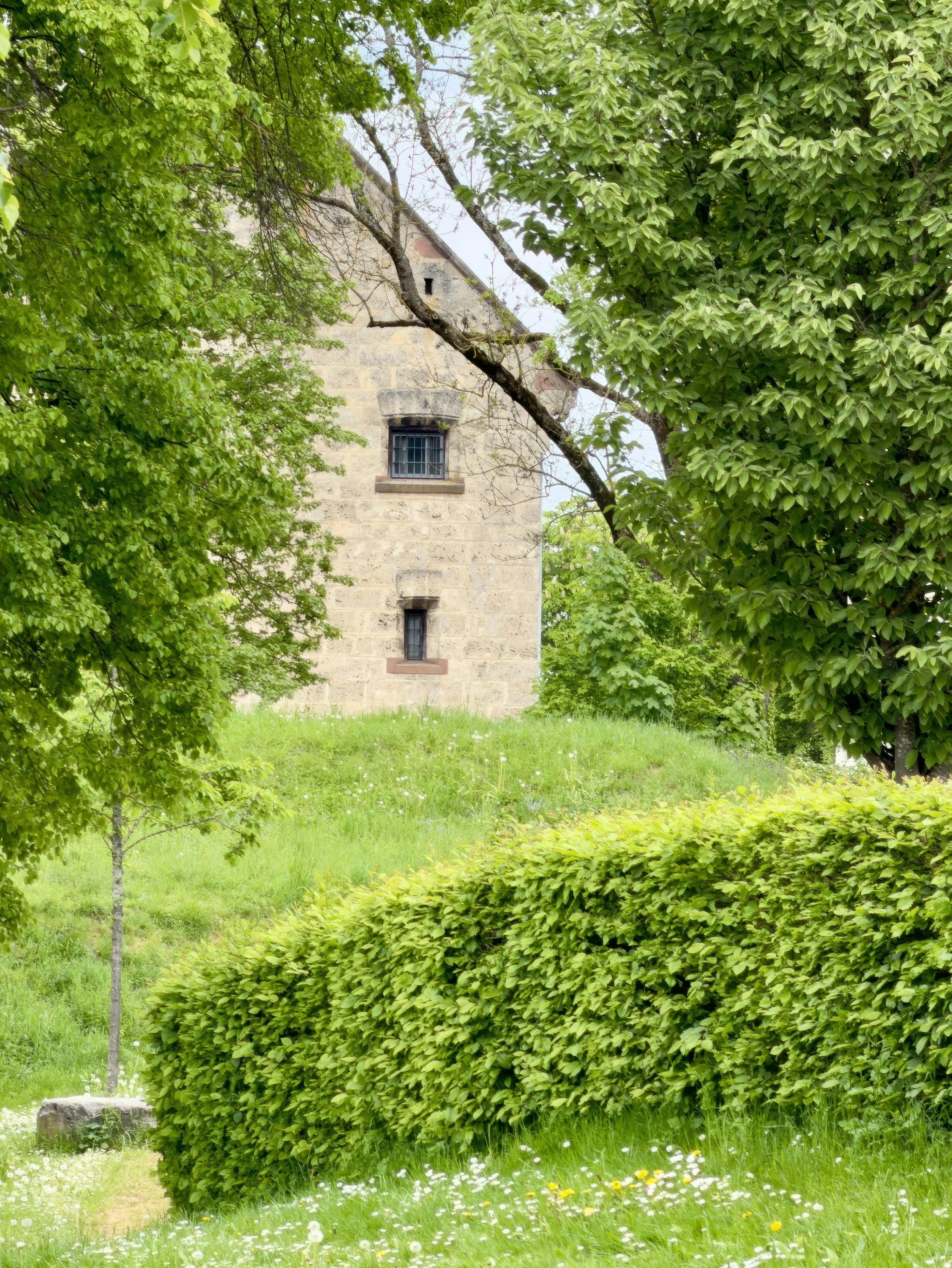 Stone Manor Framed by Verdant Canopy