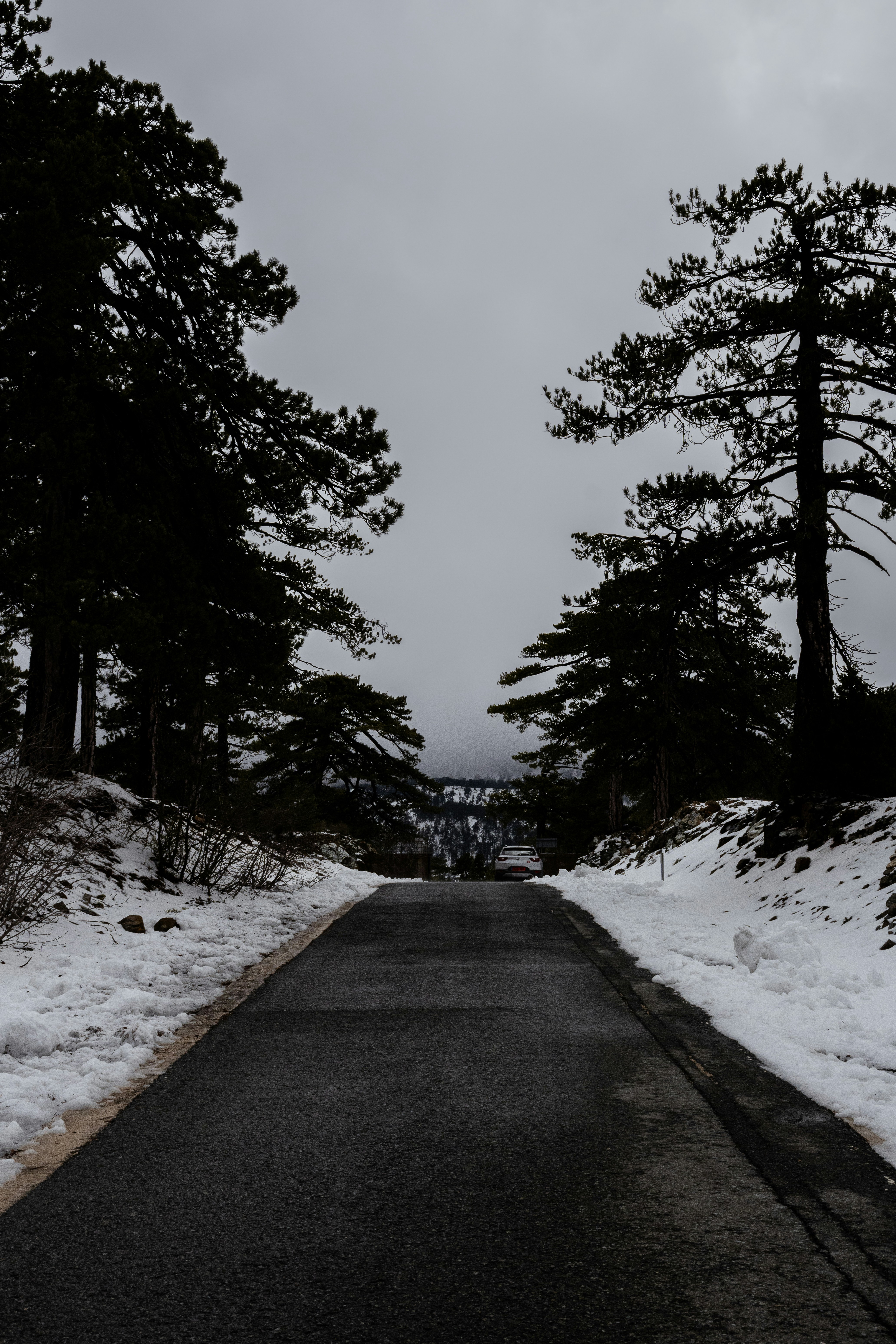Snowy Mountain Pass: A Quiet Winter Drive Toward Overcast Horizons