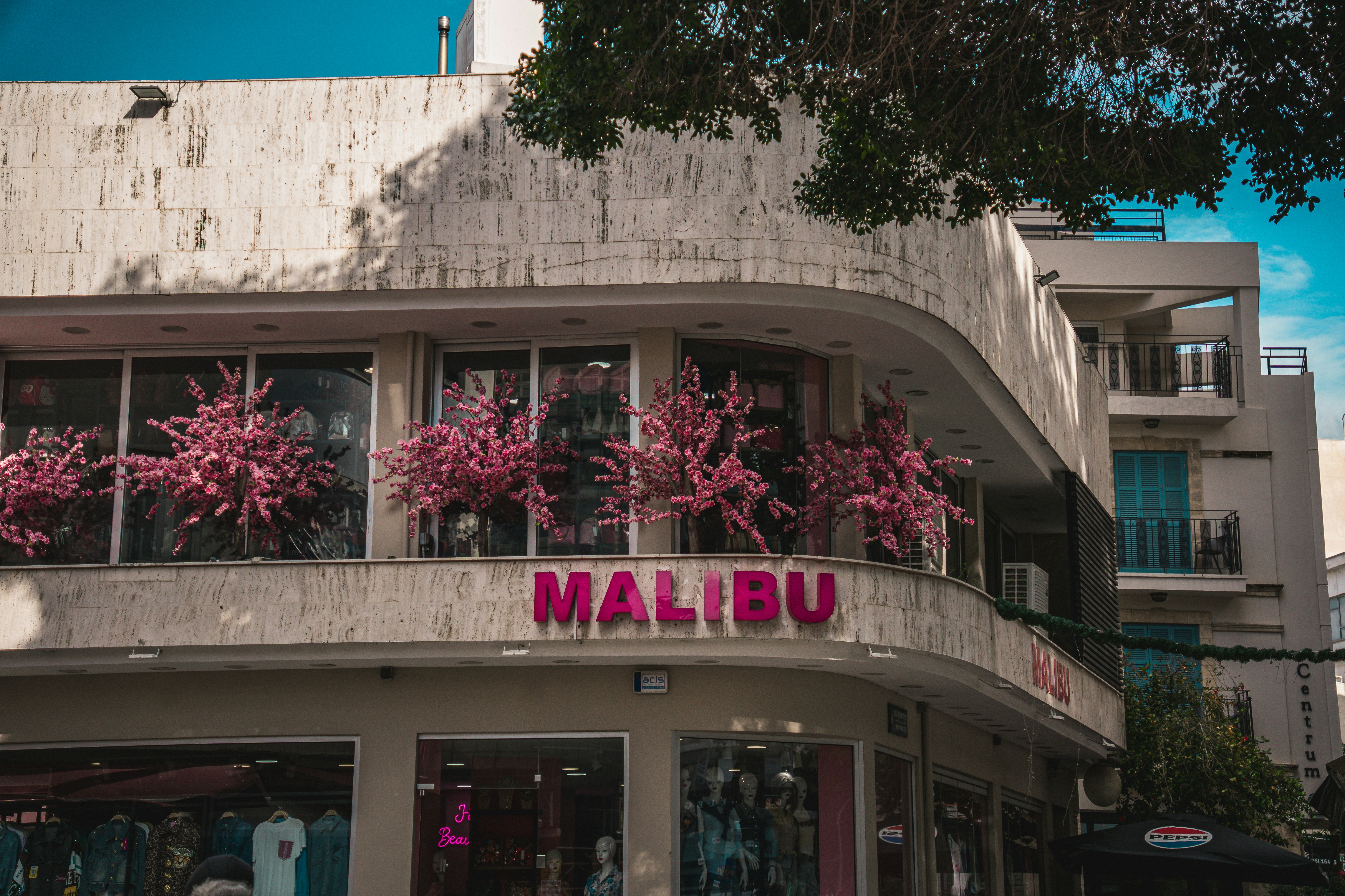 Malibu Corner: Pink Blossoms and Neon Sign Clad Facade