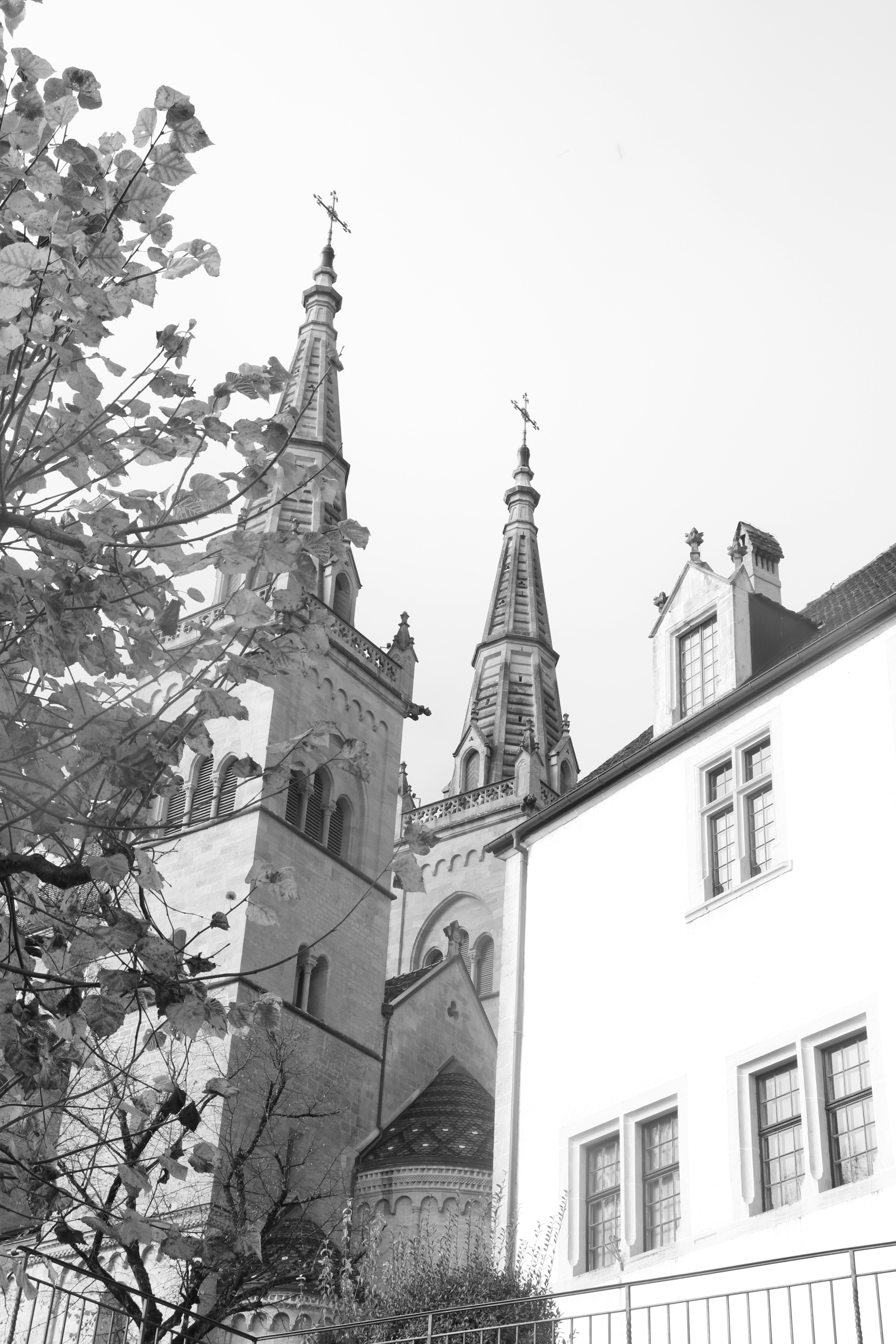 Gothic Spires Rising Over a Quiet Courtyard