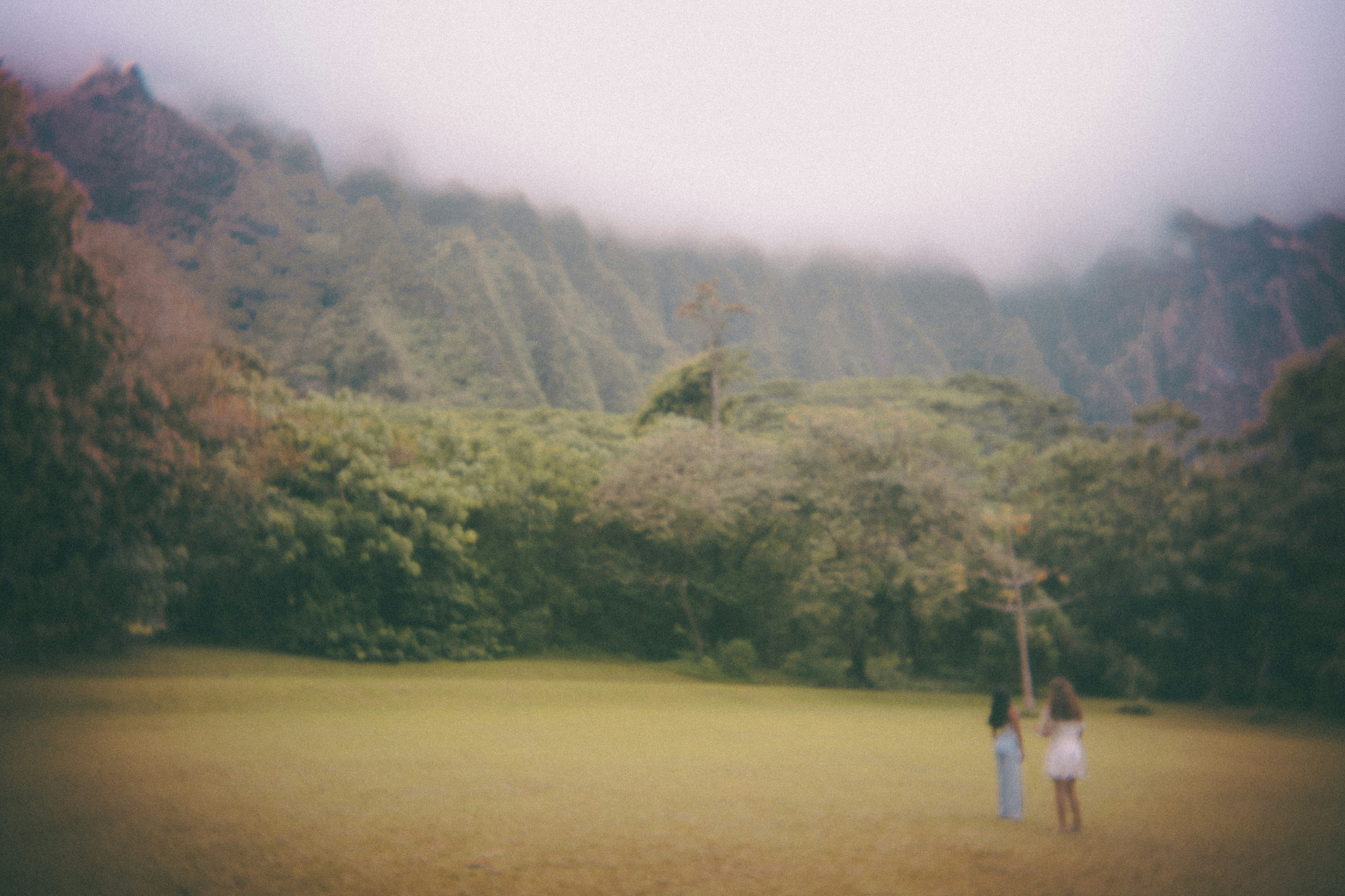 Soft Focus Horizon: Two Figures in a Misty Park