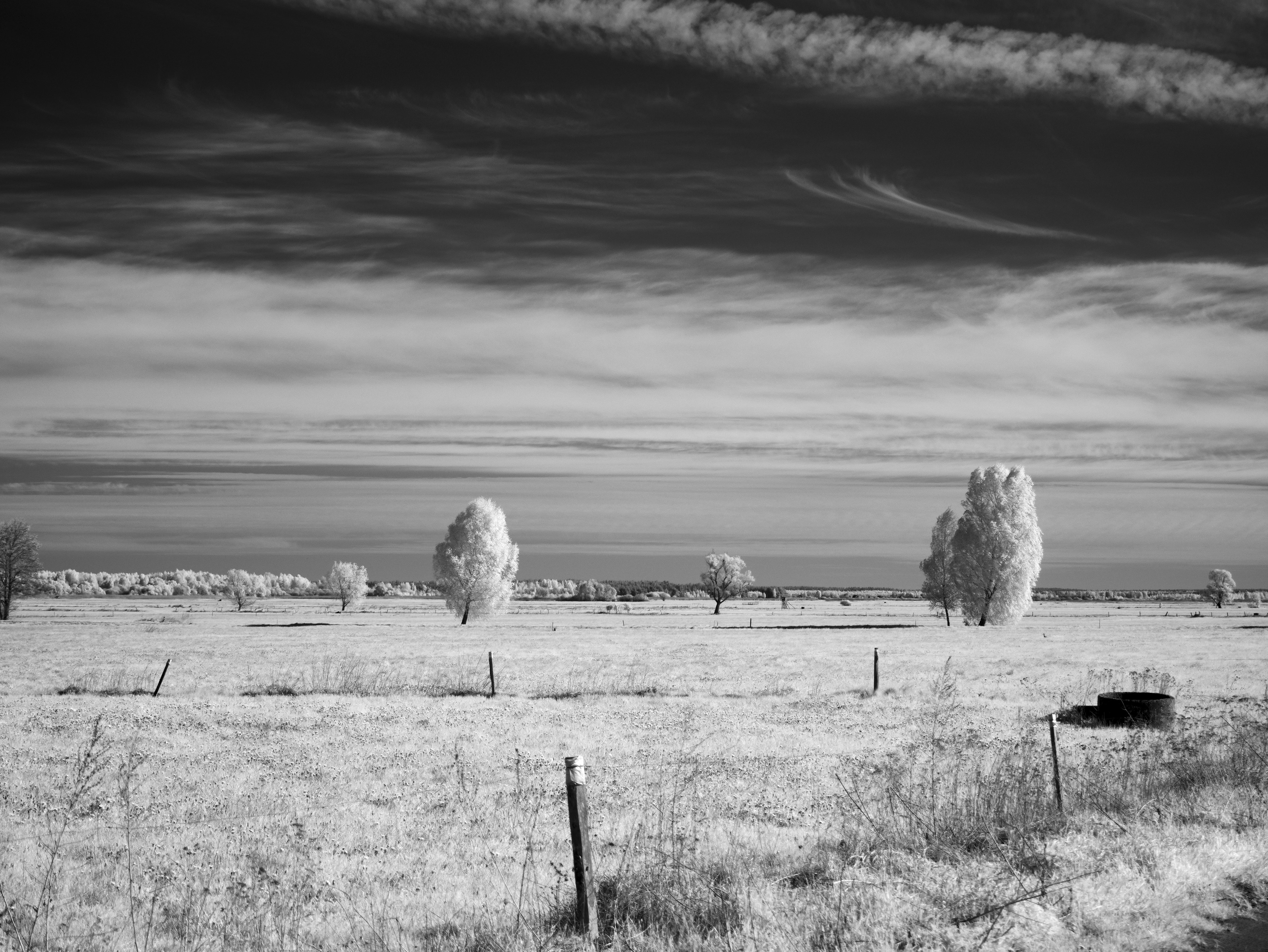 A Quiet Prairie under Wide Skies
