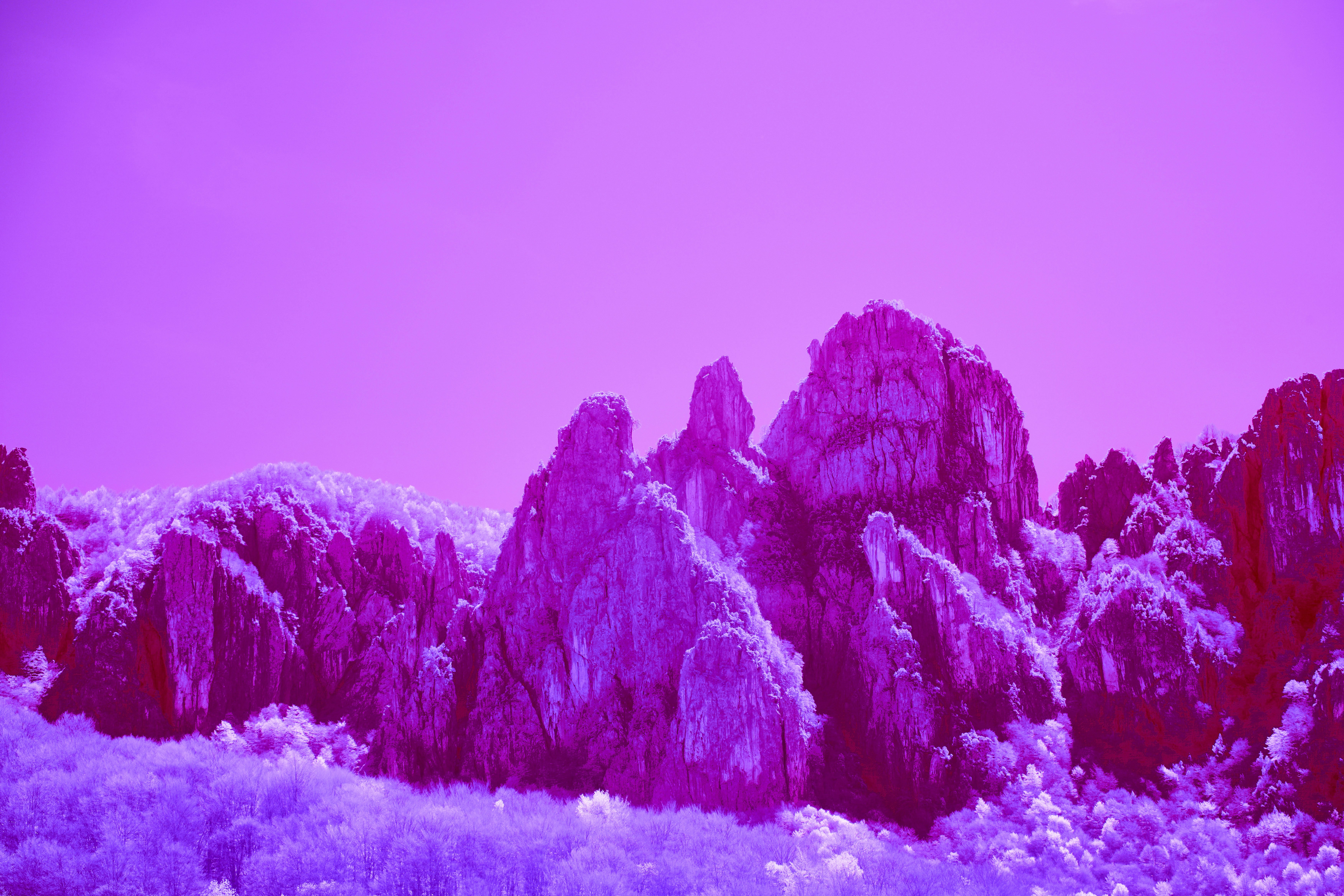 Cragged Silence Under Neon Skies