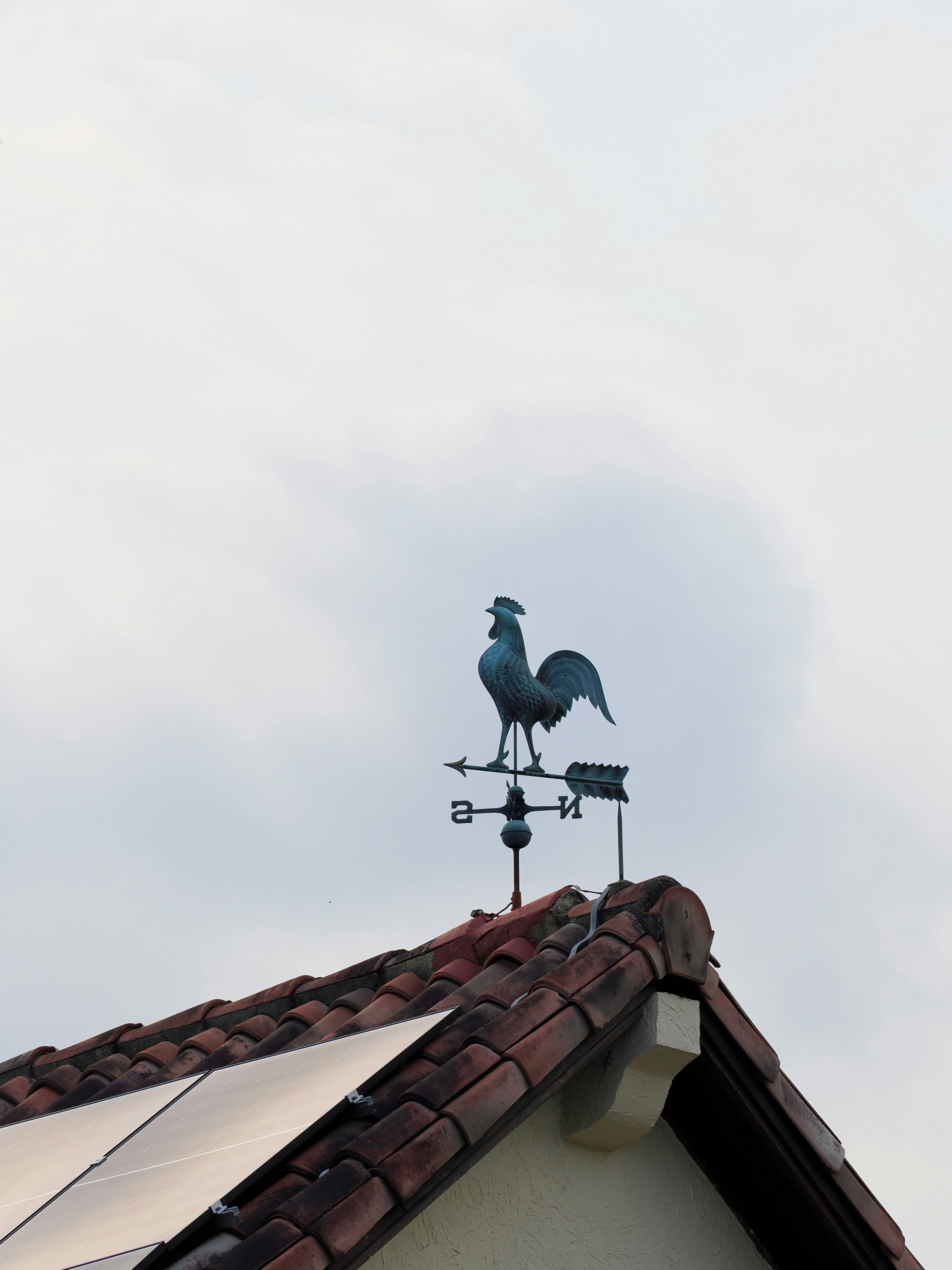 Weathervane Rooster Crowns a Quiet Rooftop